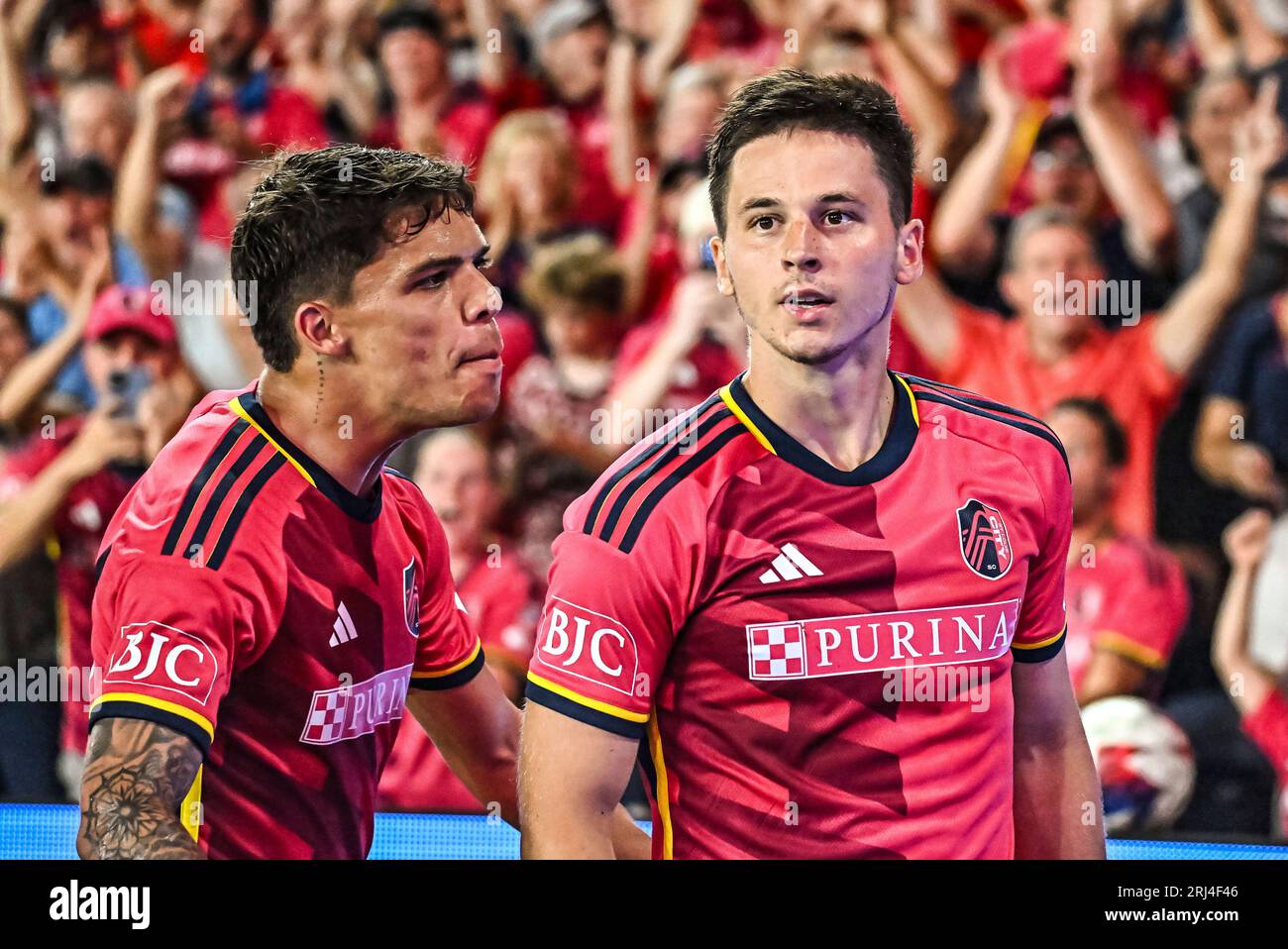 ST. LOUIS, MO - AUG 20: The fans celebrate as St. Louis City midfielder ...