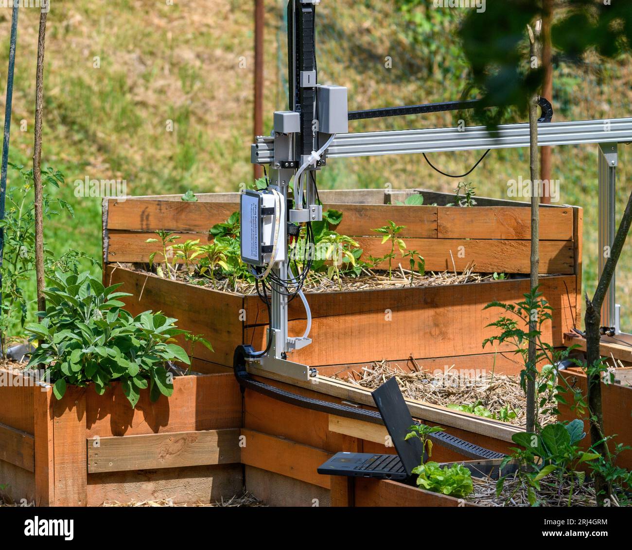 A Plant growing robot Farmbot connected to a laptop on a raised bed in ...