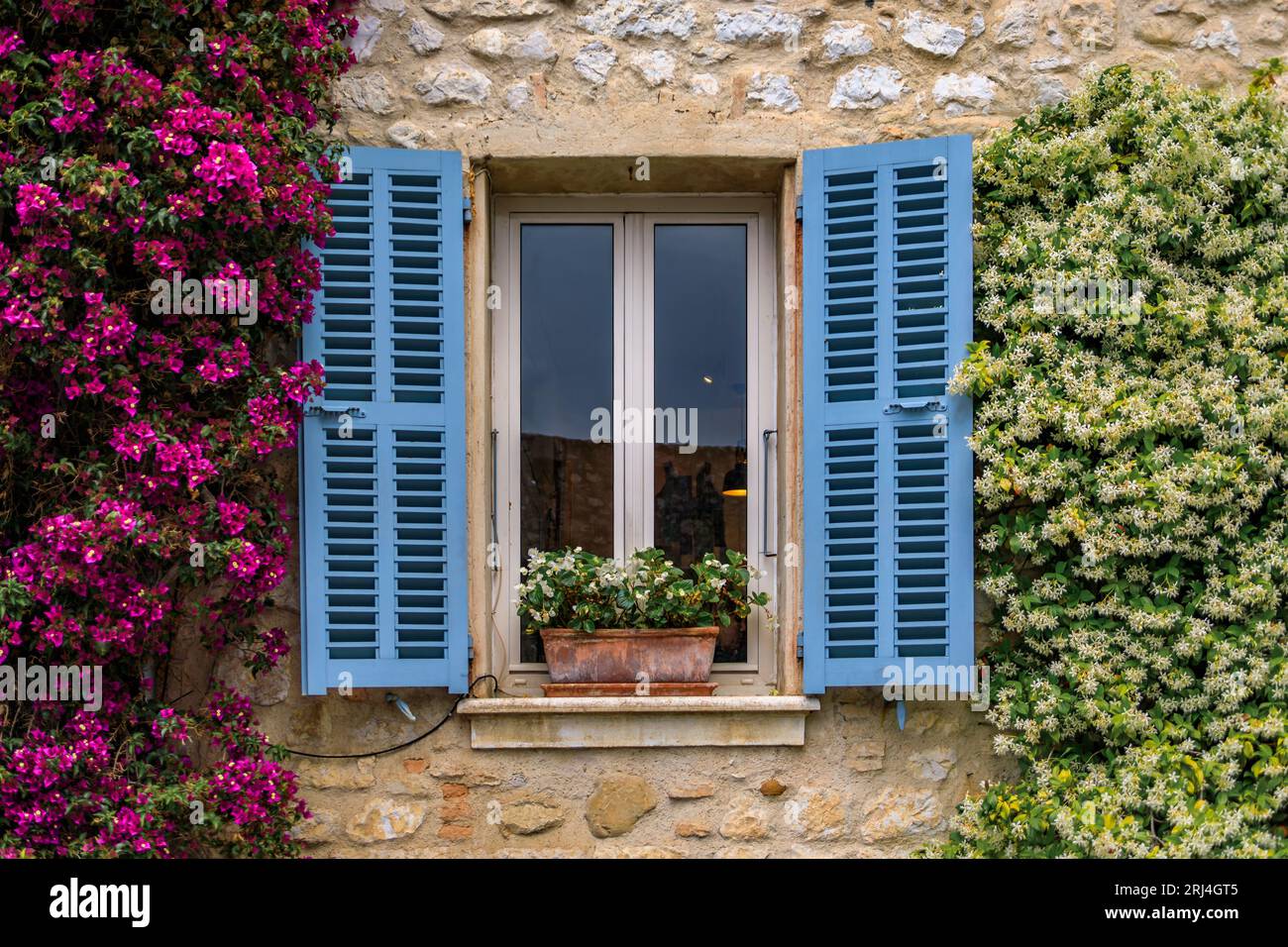 Bougainvilia and jasmine flower vines framing an old stone house window ...