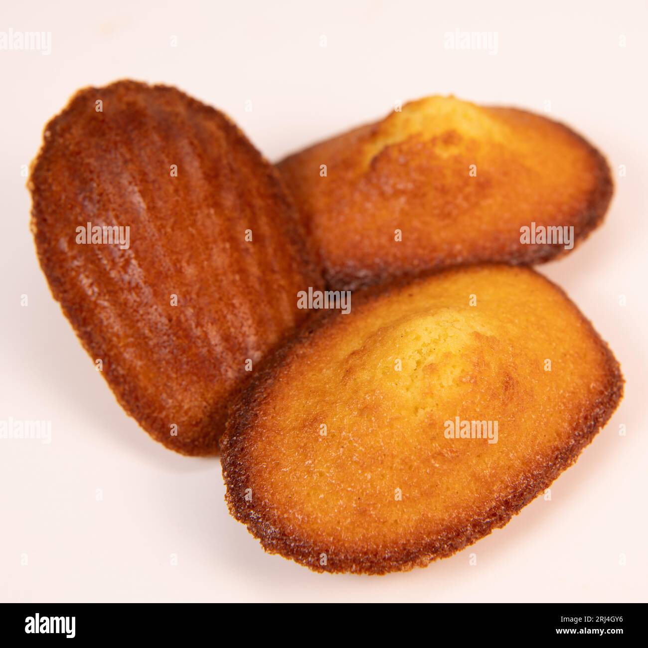 Delicious madeleine cake on white background Stock Photo - Alamy