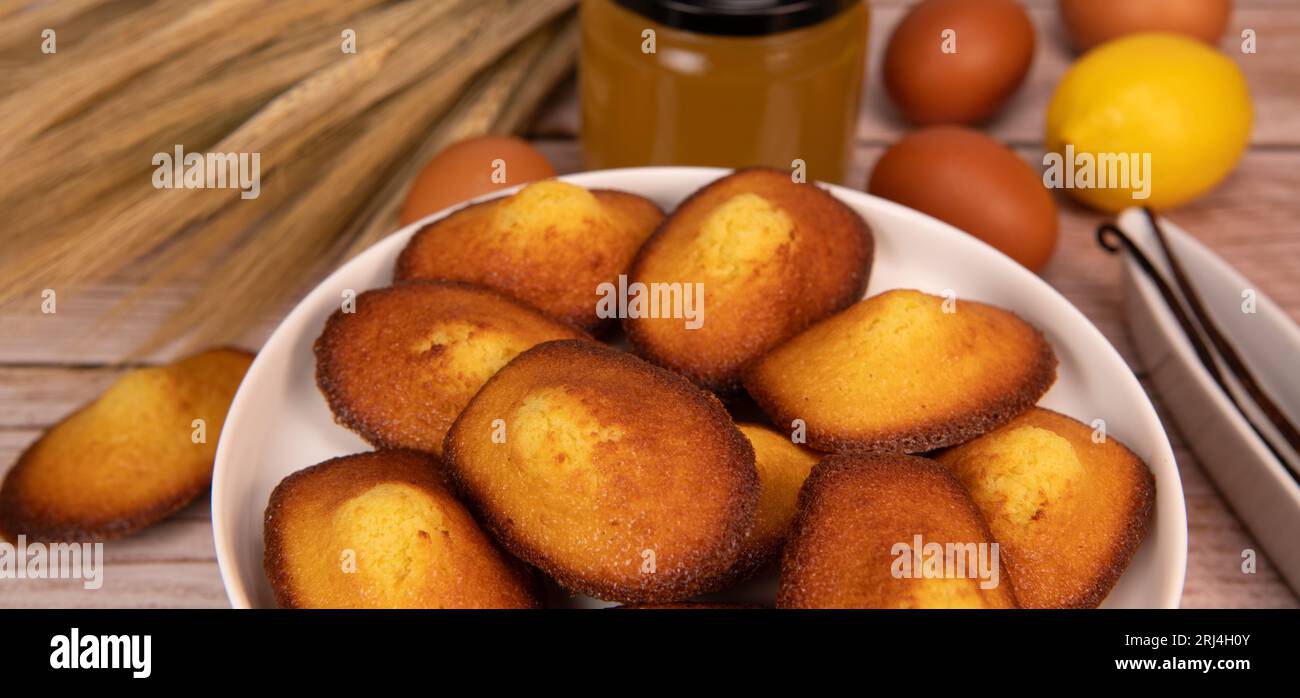 Delicious madeleine cake flavoured with honey, lemon and vanilla Stock ...