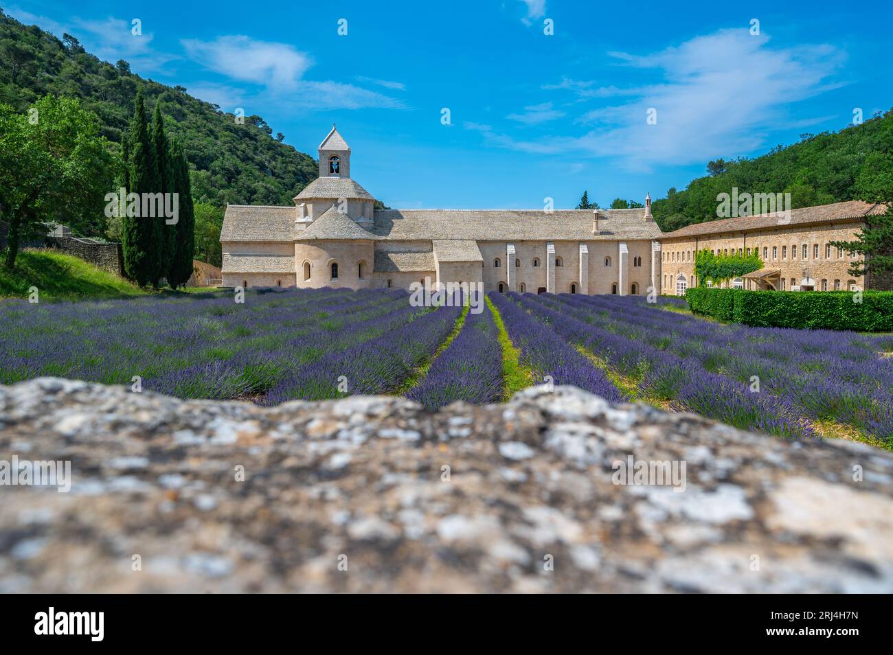 Senanque Abbey Gordes Provence Lavender fields Notre-Dame de Senanque ...