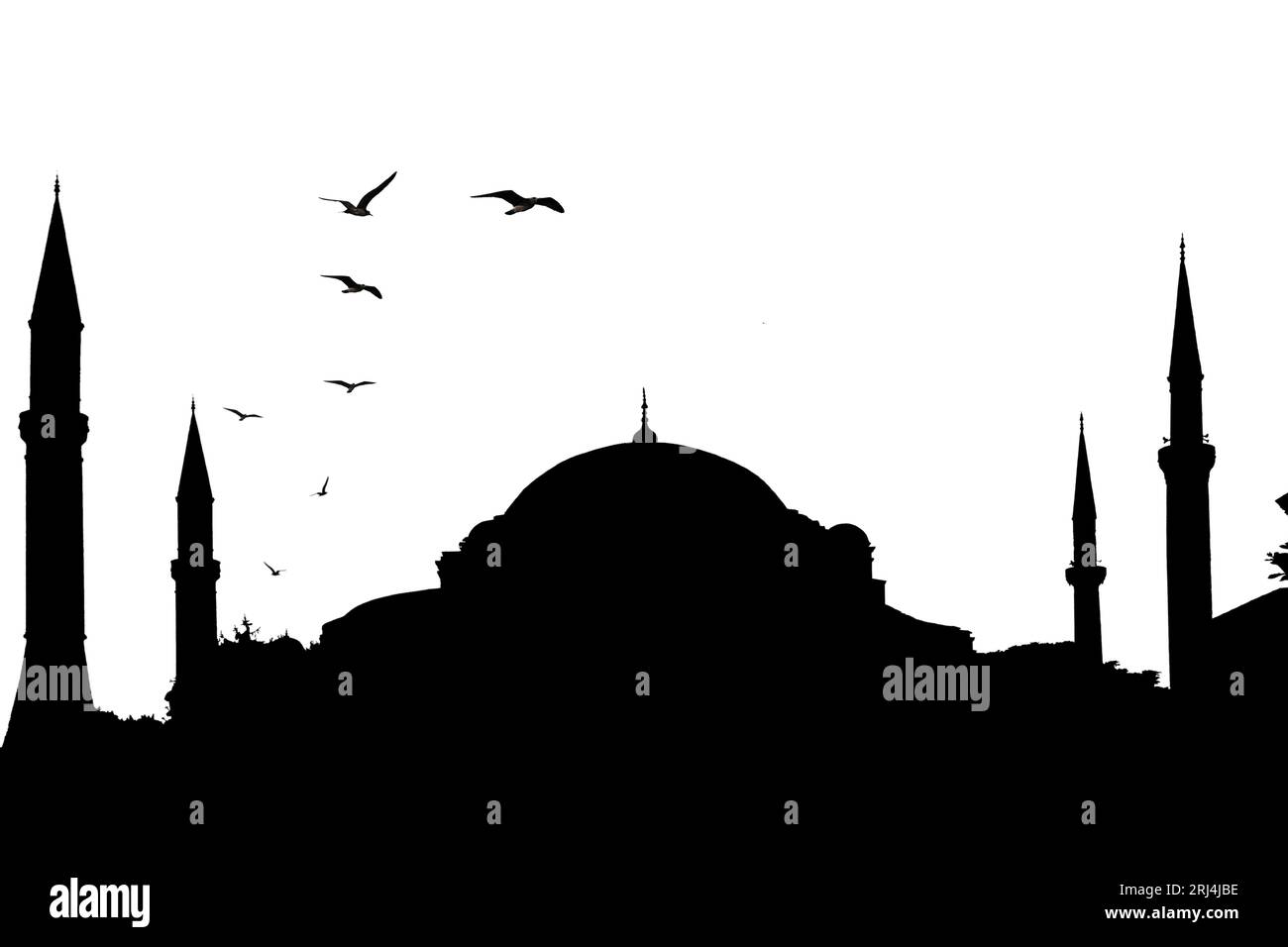 Istanbul cityscape, Turkey isolated on white transparent background ...