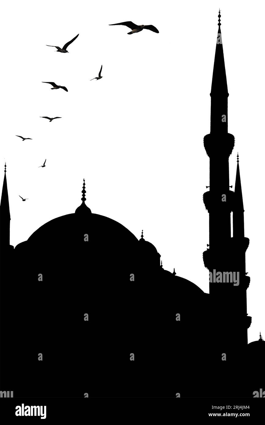 Istanbul cityscape, Turkey isolated on white transparent background ...