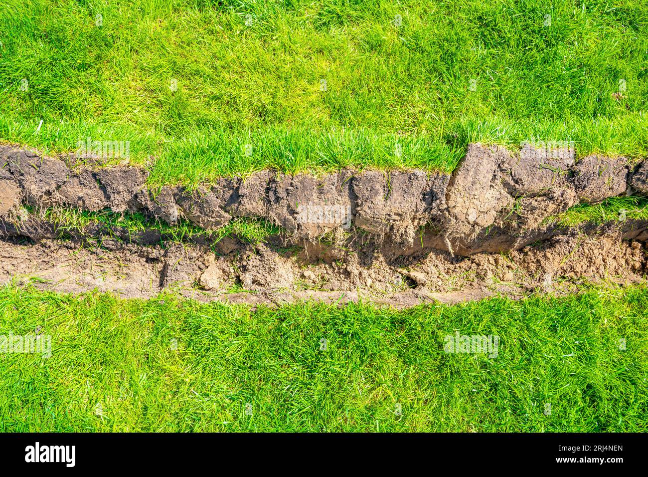 A ditch dug in the lawn for laying pipes and installing irrigation ...
