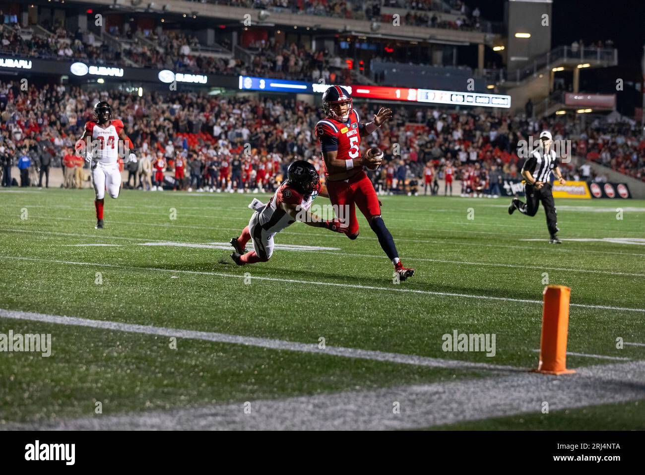 OTTAWA, ON - AUGUST 19: Montreal Alouettes quarterback Caleb Evans (5 ...