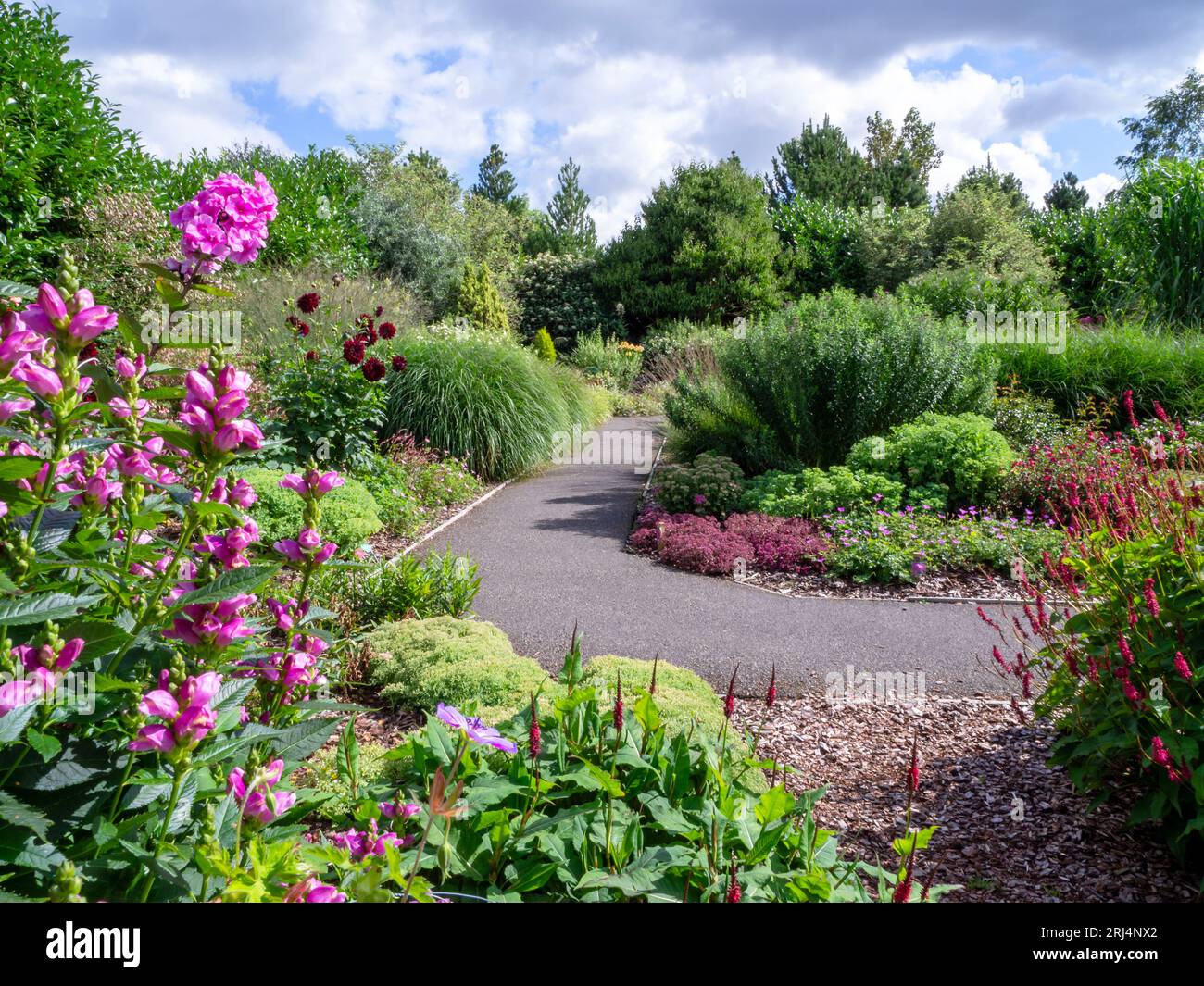 Path with plants hi-res stock photography and images - Alamy