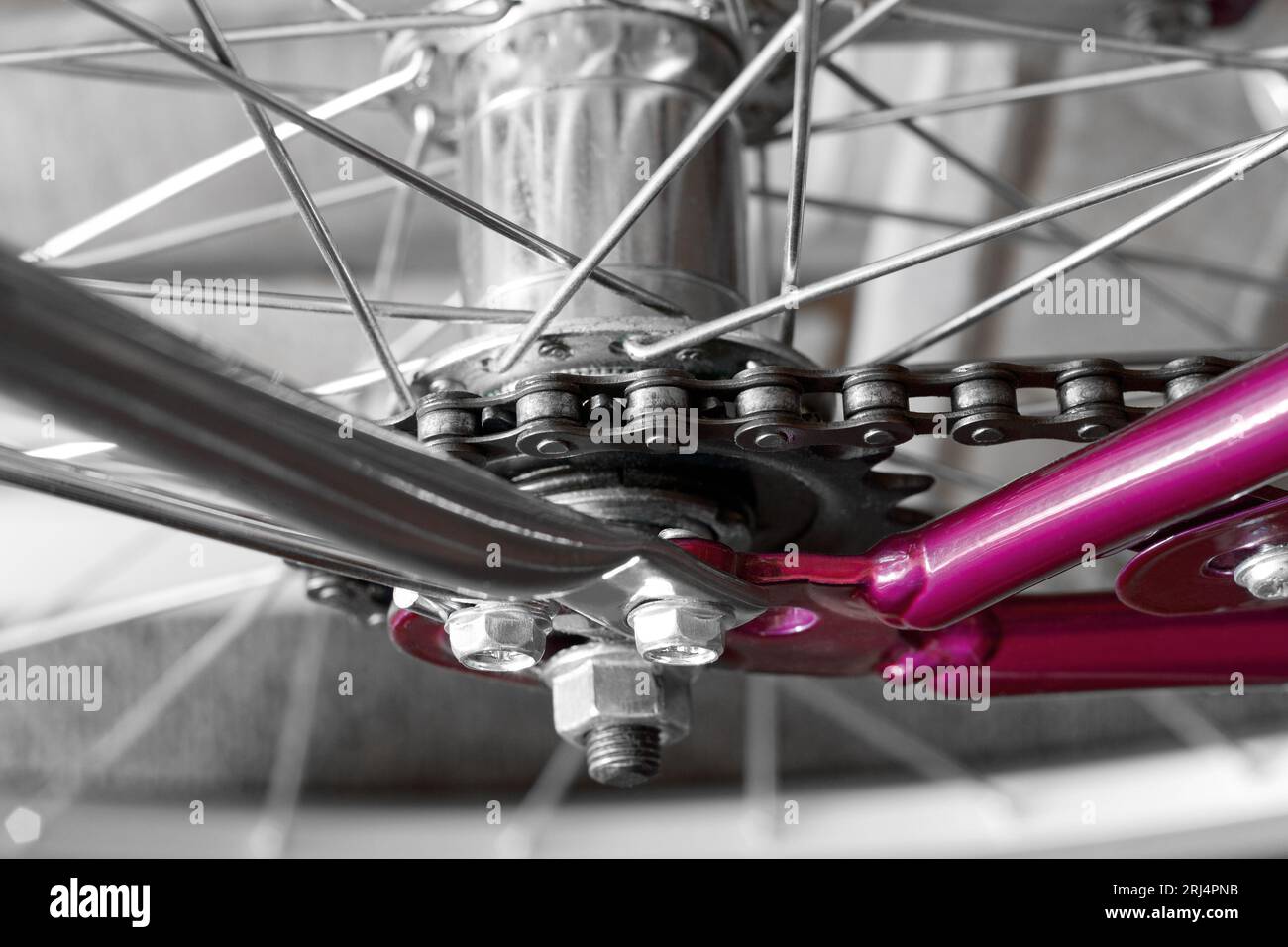 Bicycle rear hub. Close-up. On white background Stock Photo - Alamy