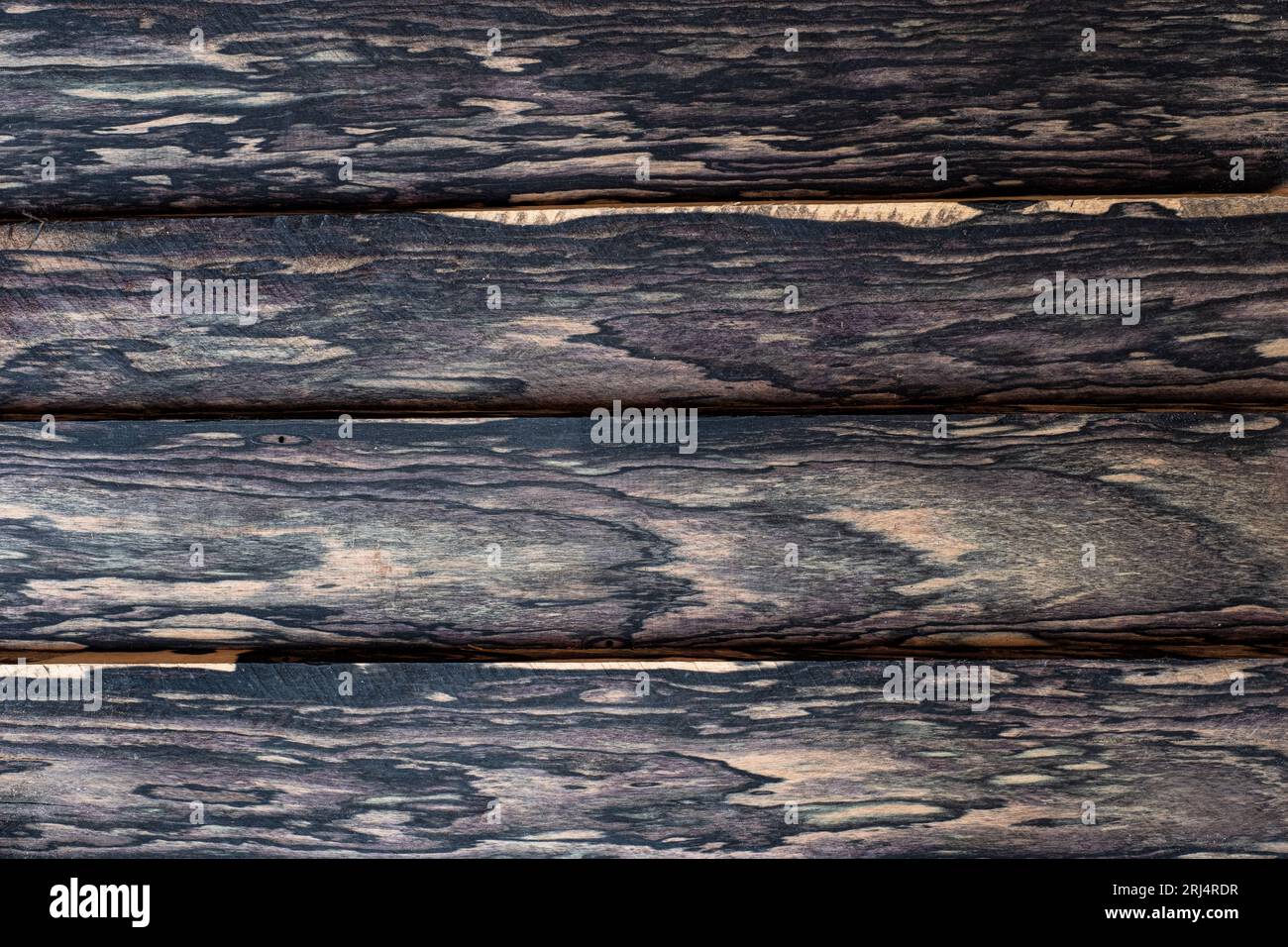 Black and White Ebony wood natural texture Stock Photo - Alamy