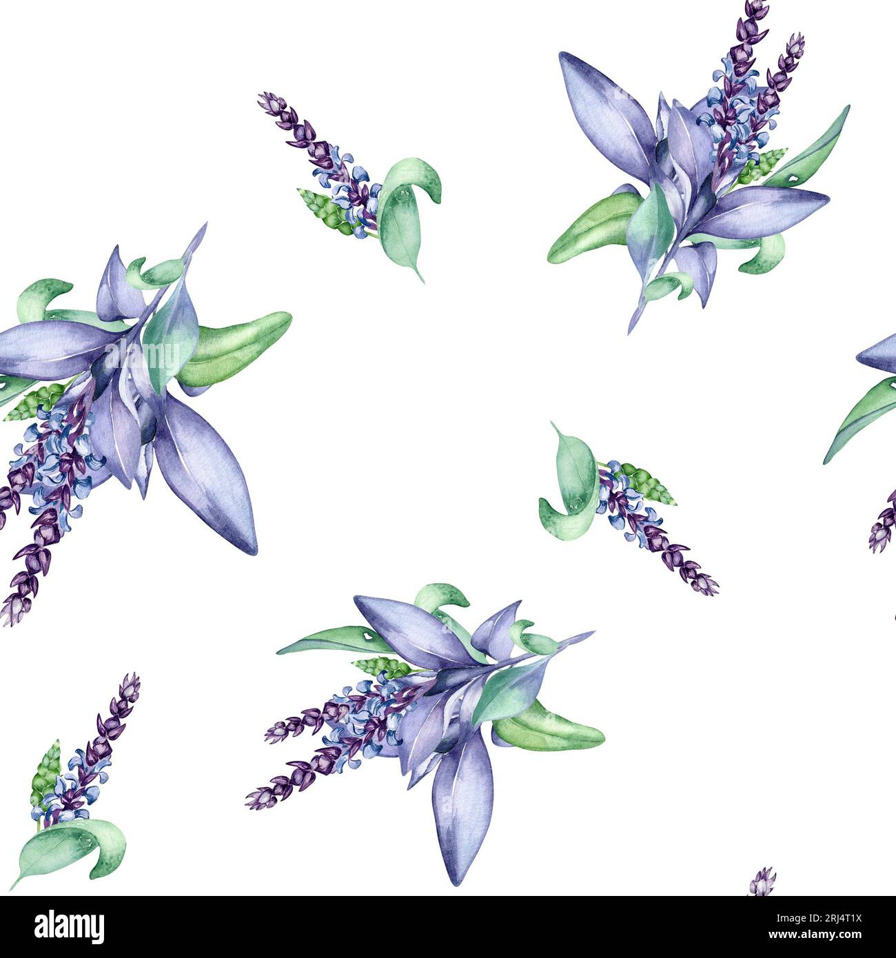 Sage herbal plant watercolor seamless pattern isolated on white ...