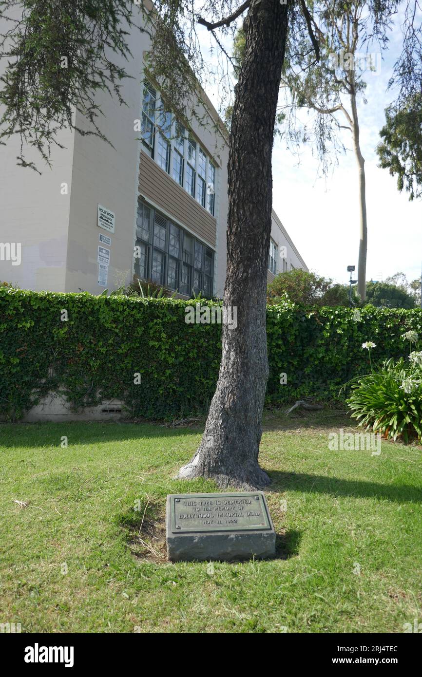 Hollywood, California, USA 23rd July 2023 This Tree Is Dedicated to the ...