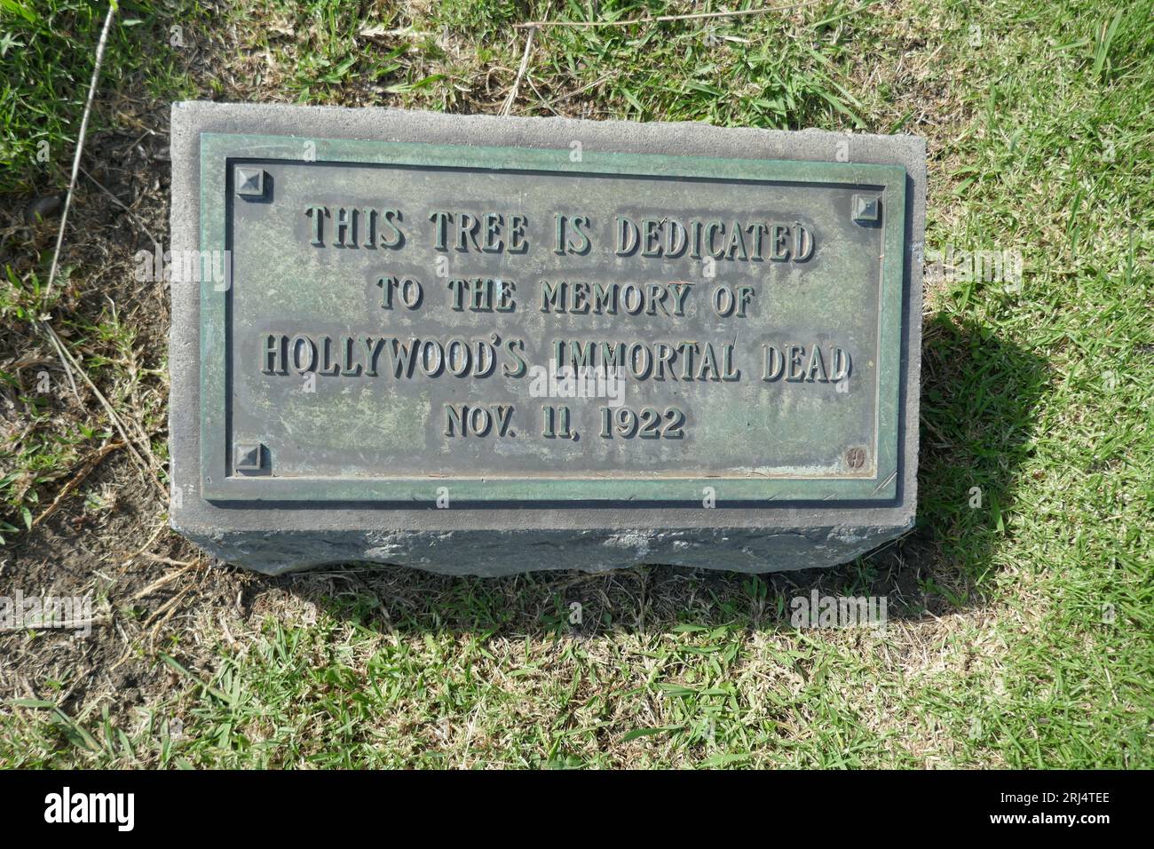 Hollywood, California, USA 23rd July 2023 This Tree Is Dedicated to the ...