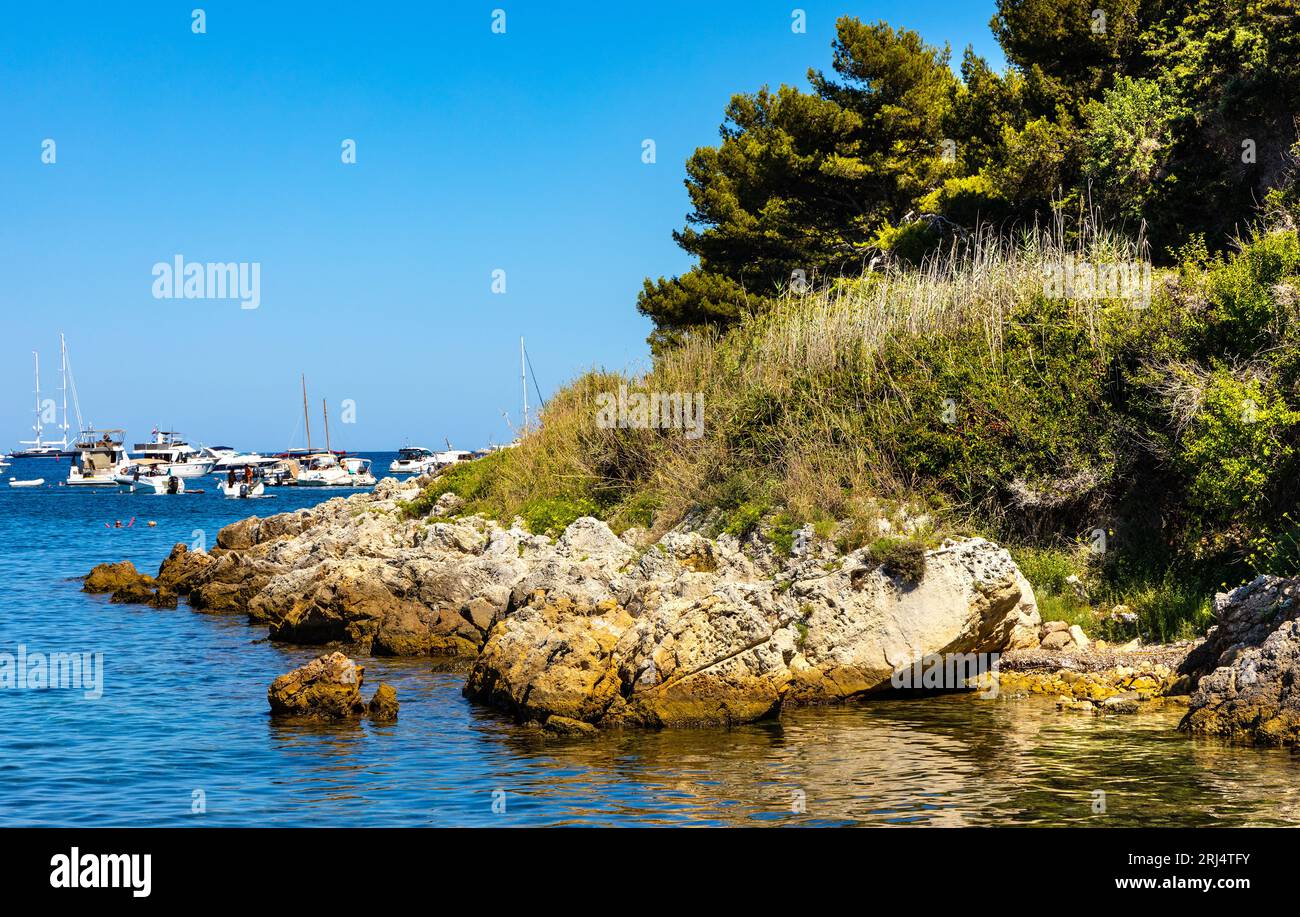Cannes, France - July 31, 2022: Rocky coast with woods and forest of ...