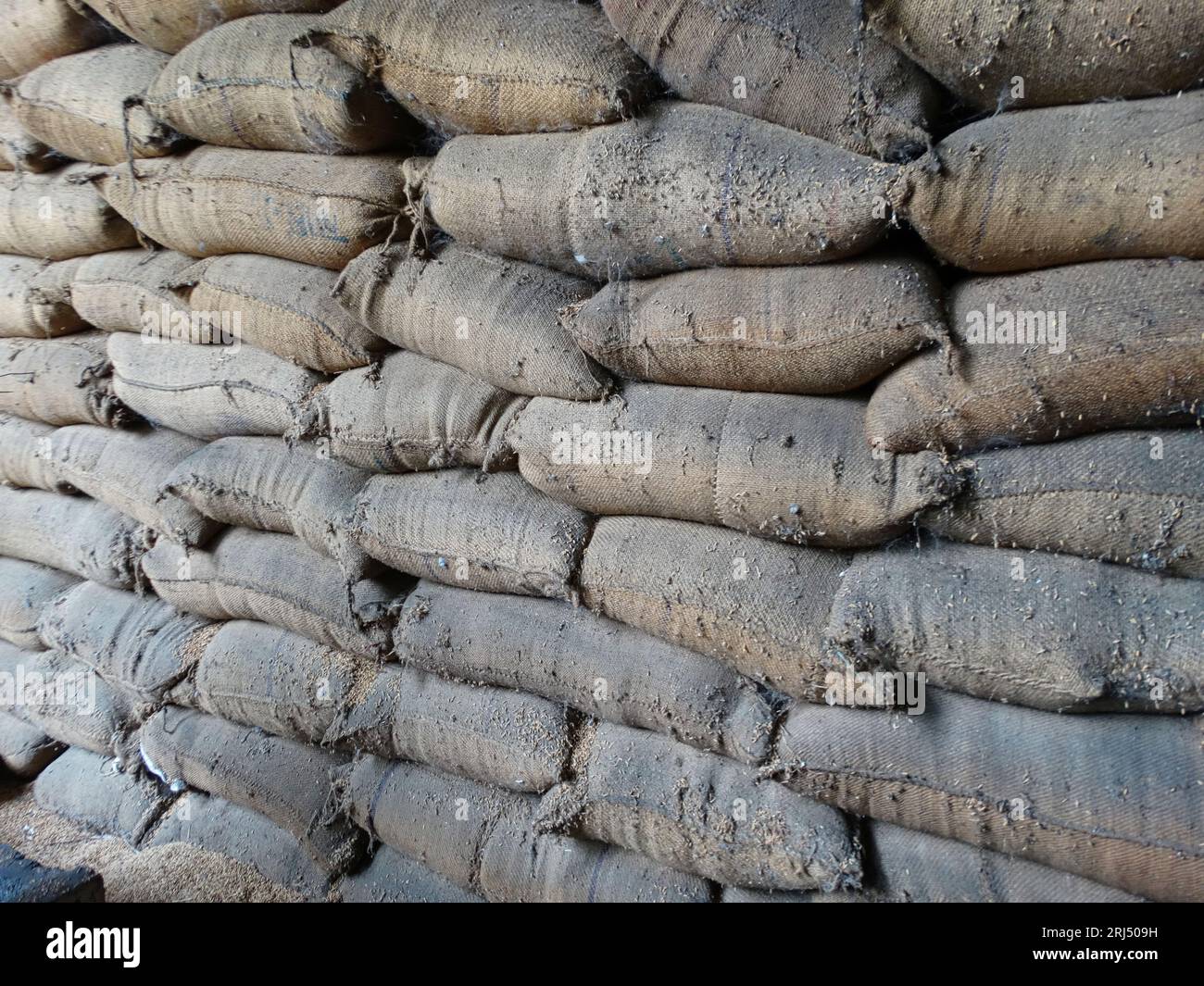 A close-up view of multiple white sacks of rice stored in a warehouse ...