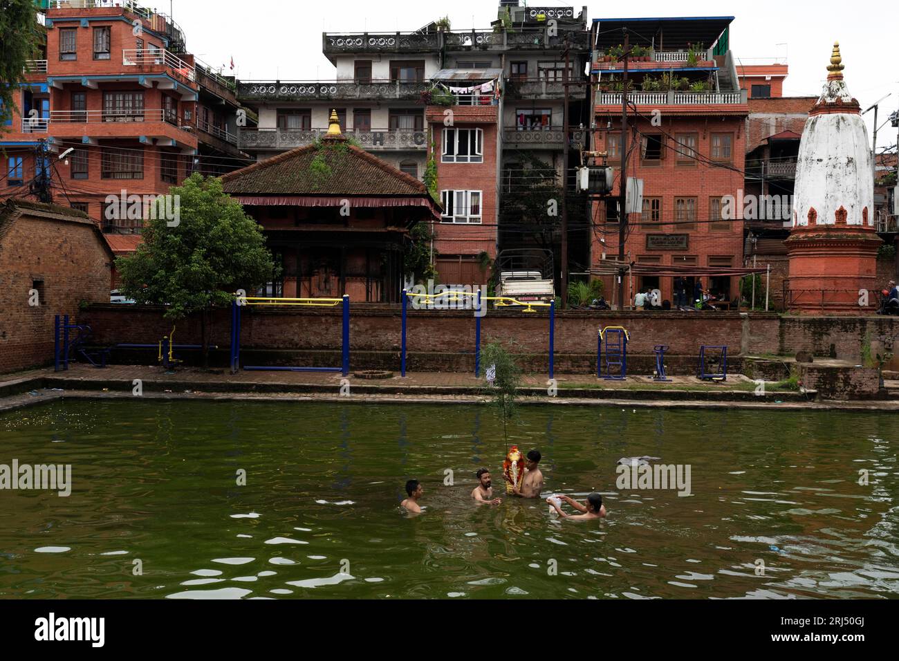 Devotees worship a statue of the serpent god, Naag, situated at the ...