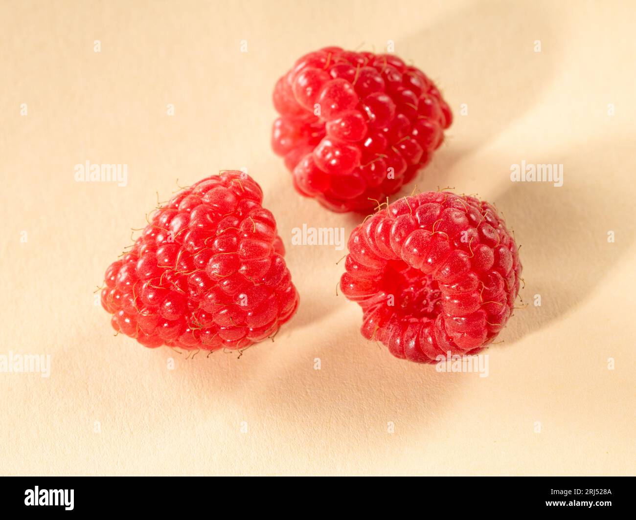 Three raspberries close-up on a pastel background with shadows Stock ...