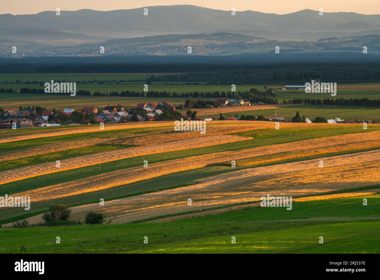 Beautiful organic crops arranged in strips on undulating fields Stock ...