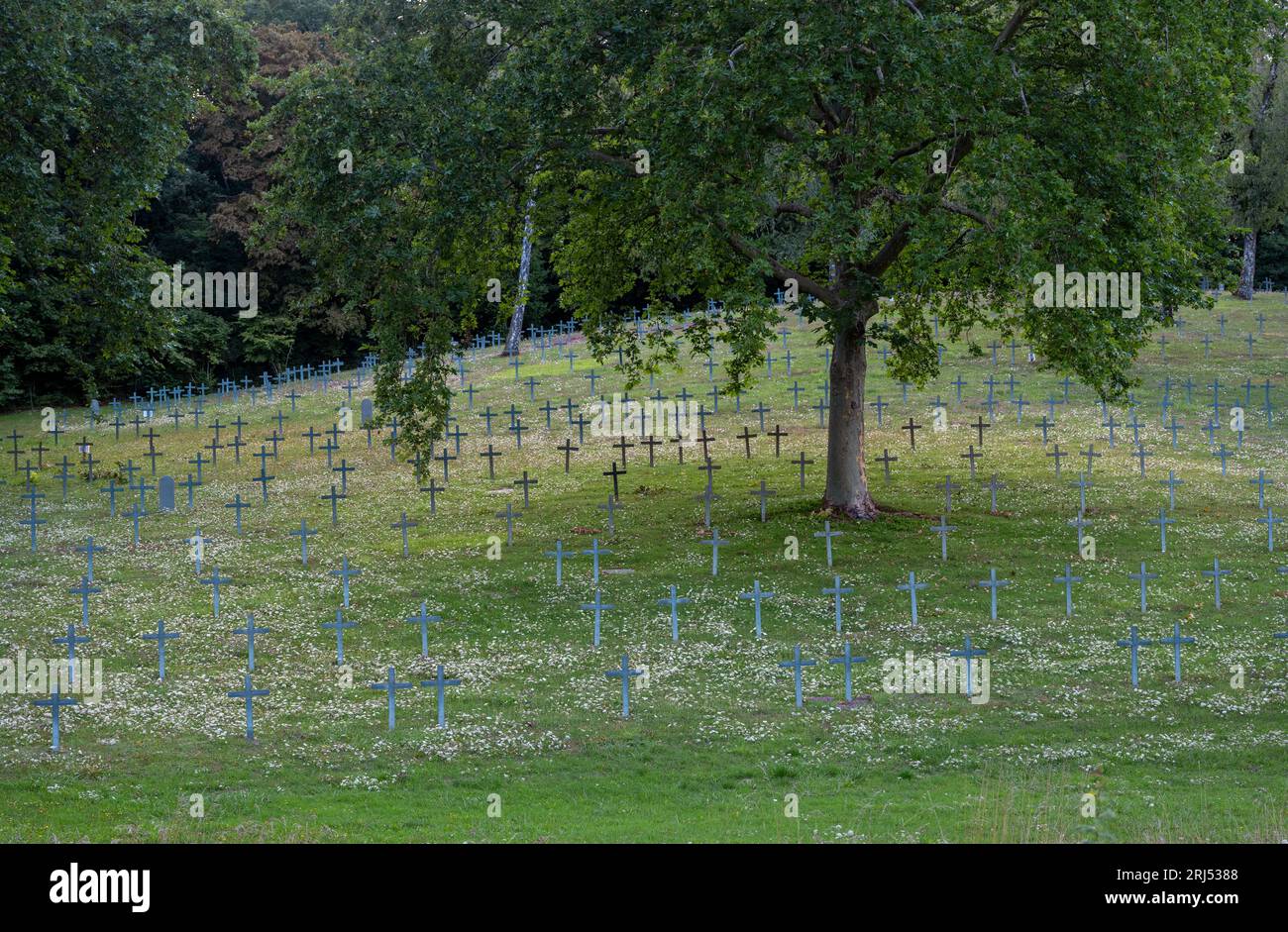 cemetery for german soldiers near Verdun in the north of france Stock ...