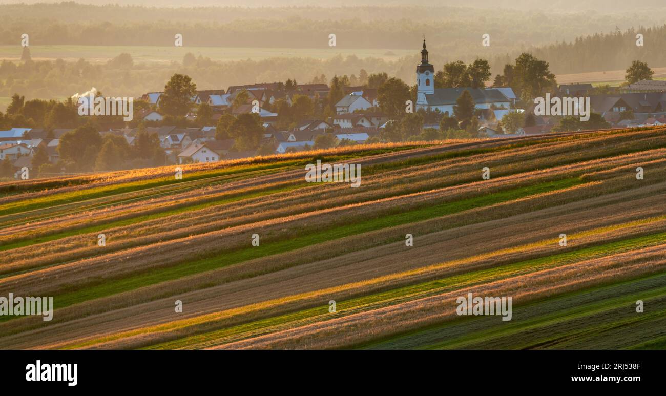 Beautiful organic crops arranged in strips on undulating fields Stock ...