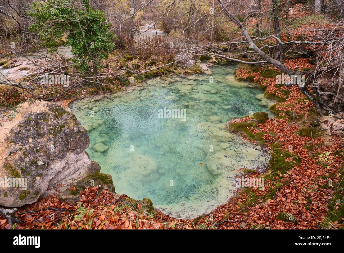 Urederra pond hi-res stock photography and images - Alamy
