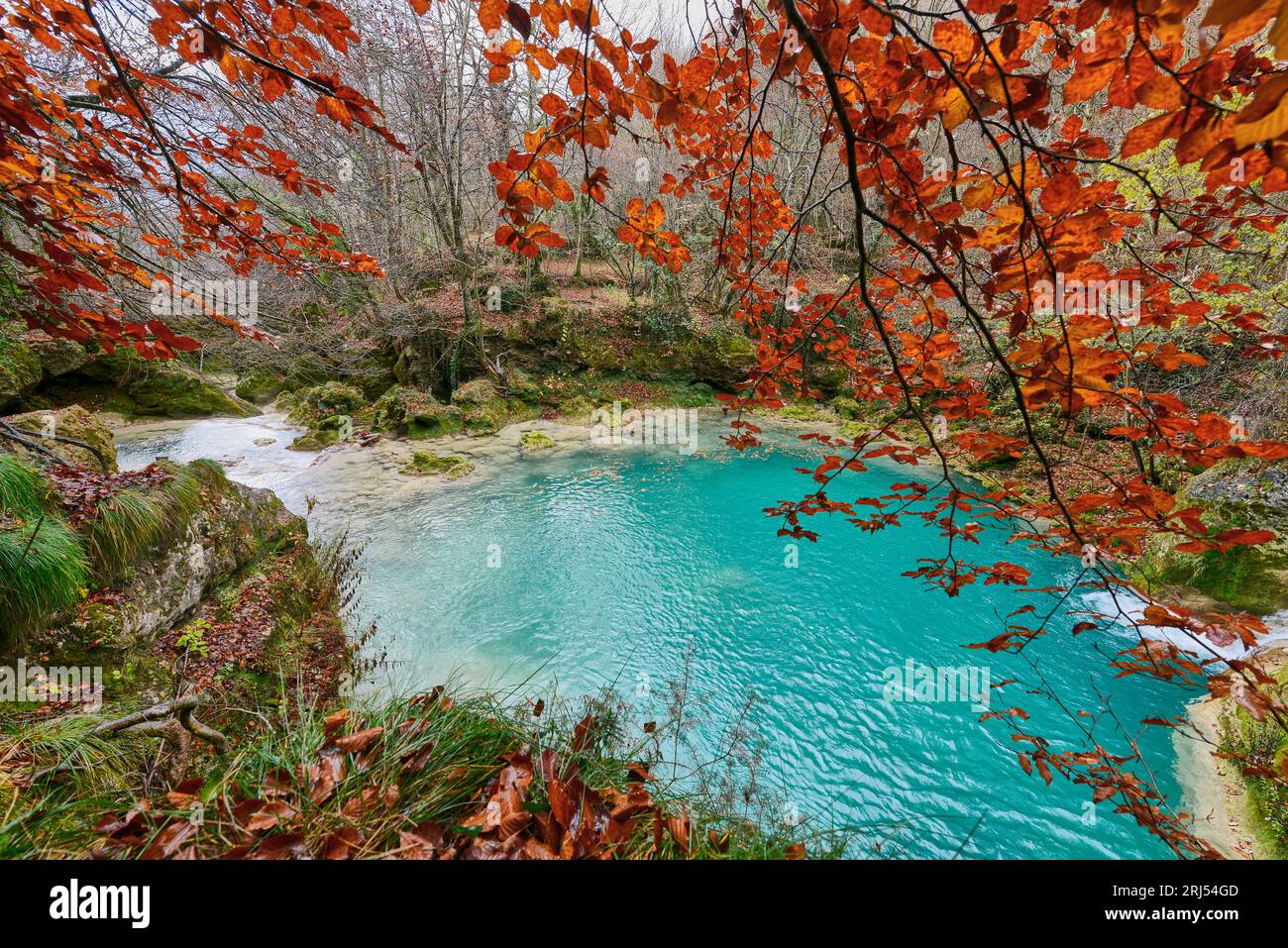 Pond with turquoise water in the source of the Uderra River natural ...