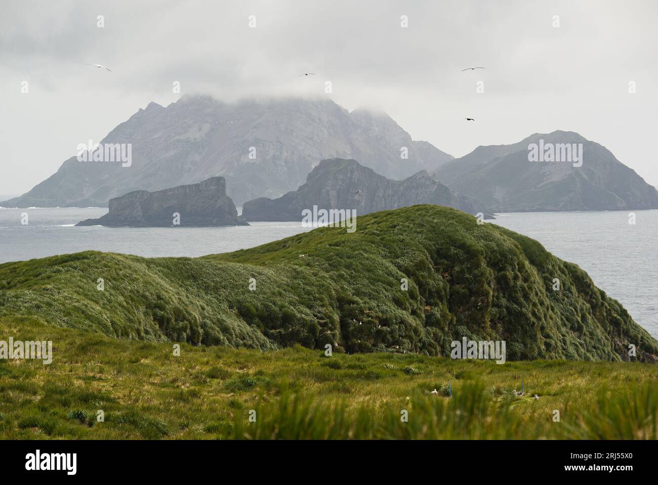 Willis Islands South Georgia Stock Photo - Alamy