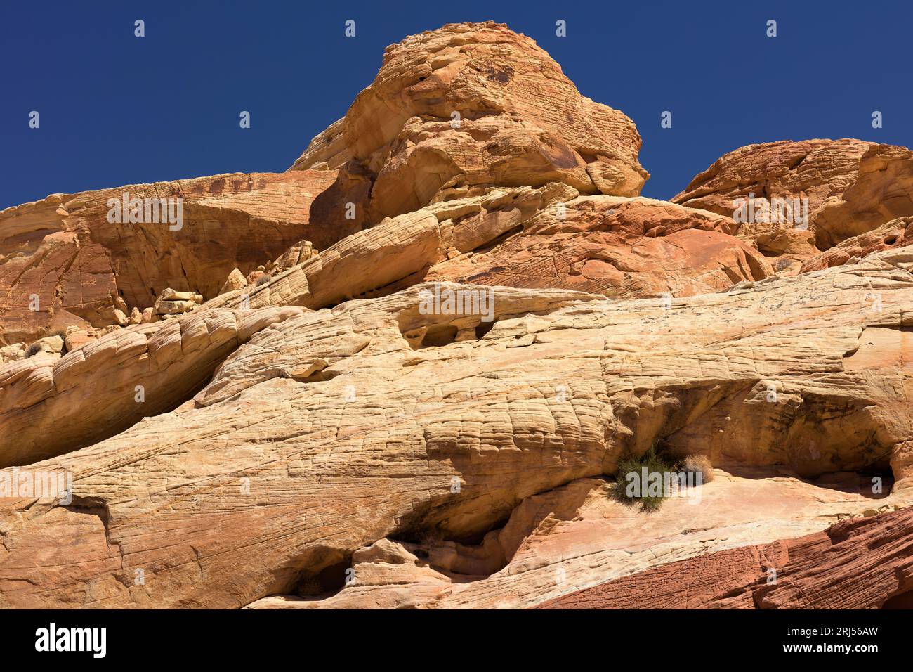 At the Fire Canyon trail in the Valley of Fire State Park, Nevada, USA ...