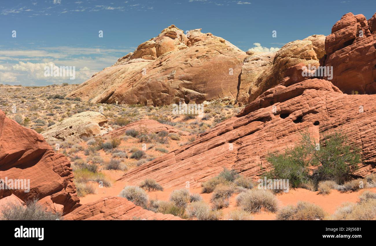 At the Fire Canyon trail in the Valley of Fire State Park, Nevada, USA ...