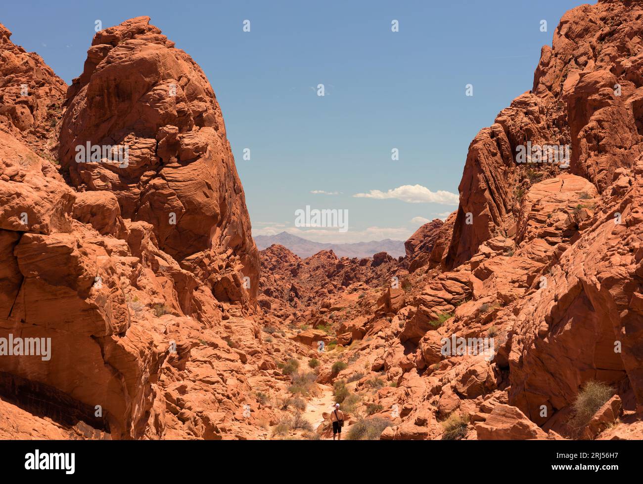 Fire Canyon in the Valley of Fire State Park, Nevada, USA Stock Photo ...