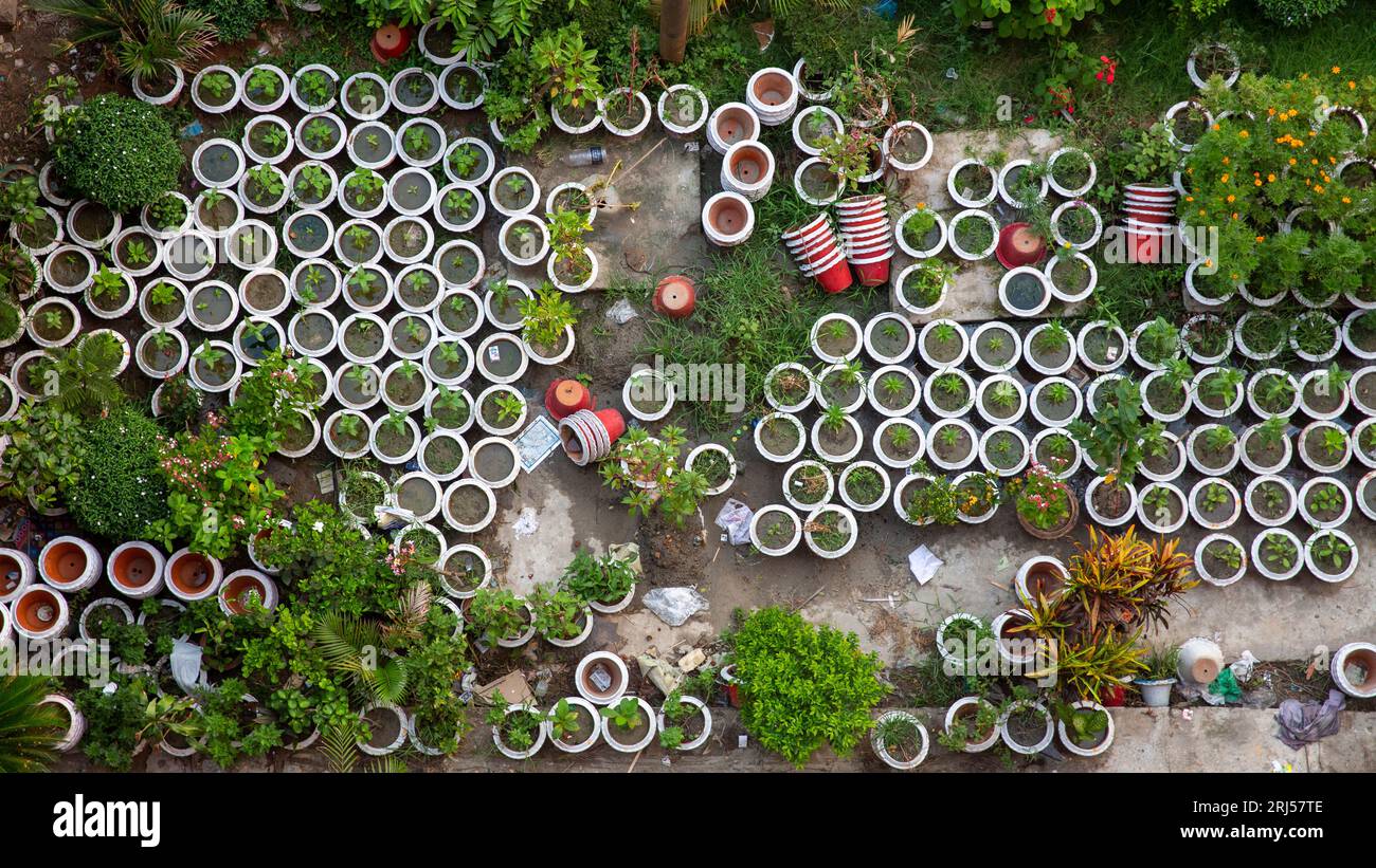 Aerial view of plants tob. Dhaka, Bangladesh Stock Photo - Alamy