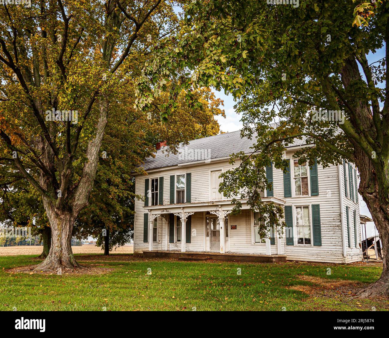 An old white house with green shutters surrounded by tall trees and ...