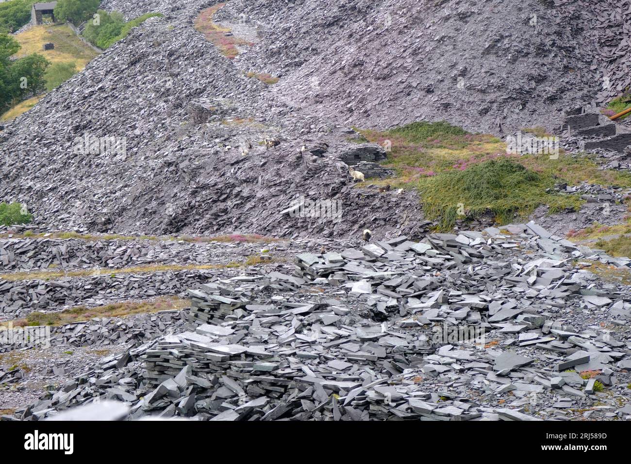 Abandoned dinorwig slate quarries hi-res stock photography and images ...