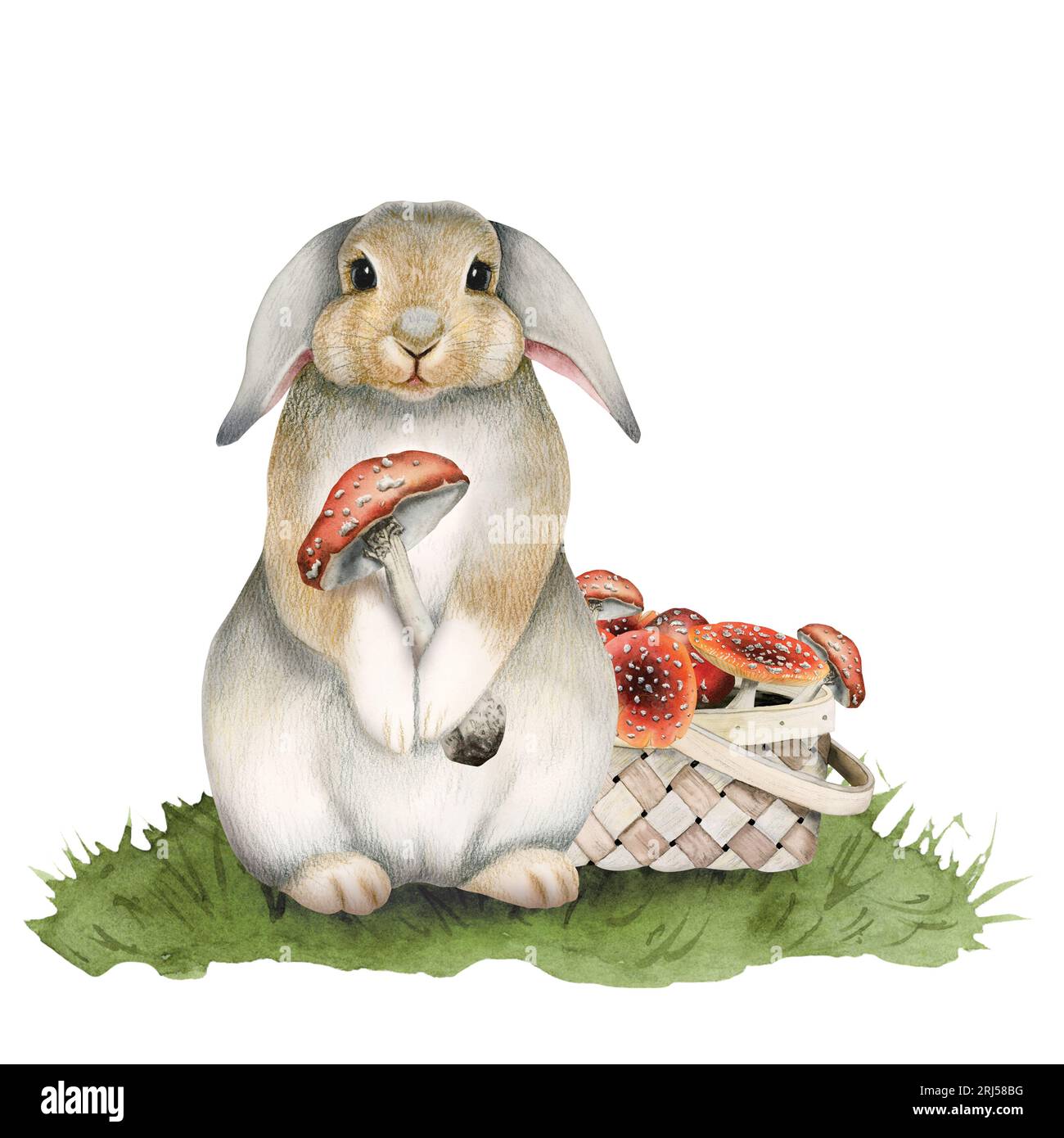 Forest bunny rabbit holding fly agaric on grass with basket of ...