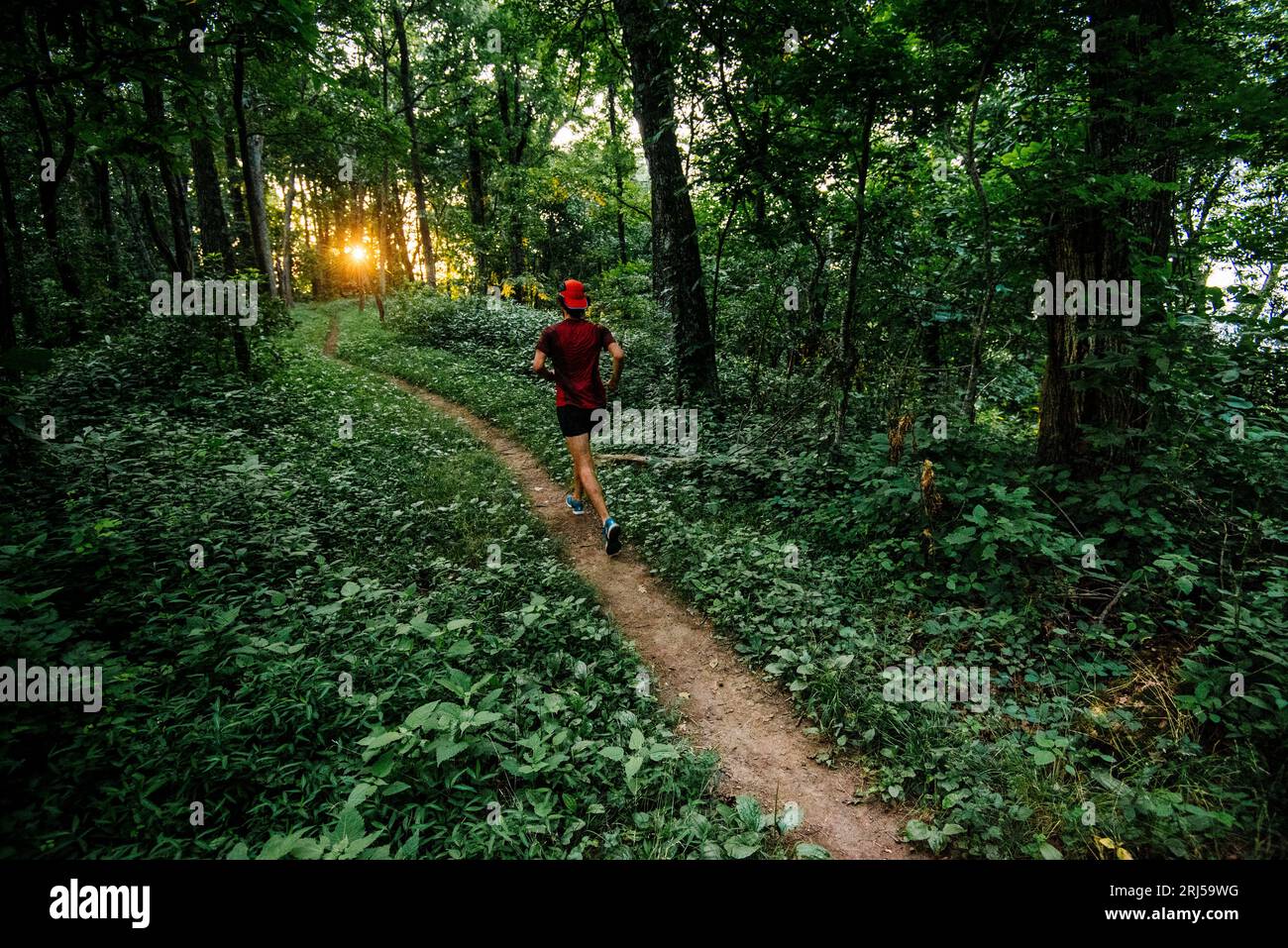 Trail running the Mountain To Sea Trail. Asheville, NC Stock Photo - Alamy