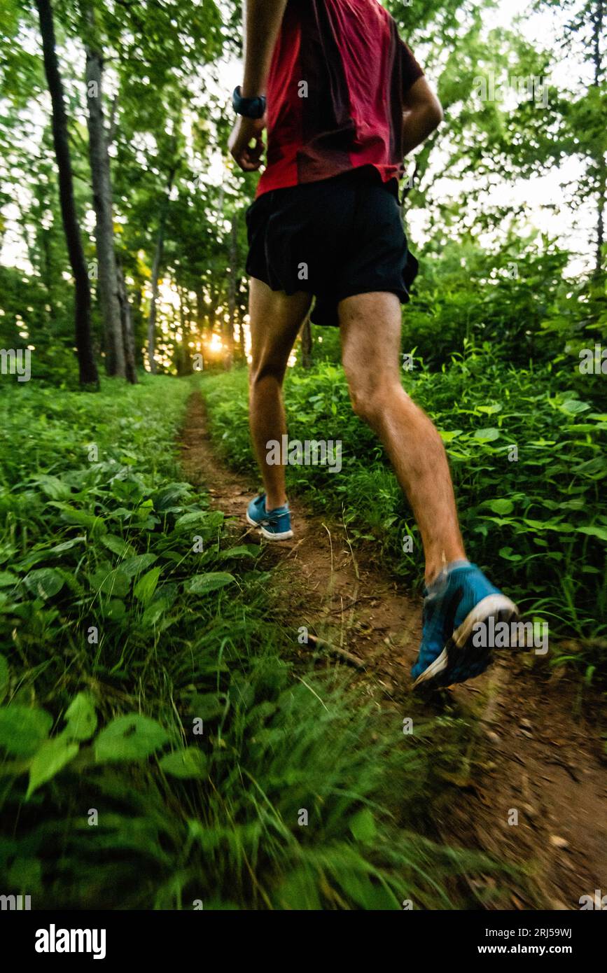 Trail running the Mountain To Sea Trail. Asheville, NC Stock Photo - Alamy