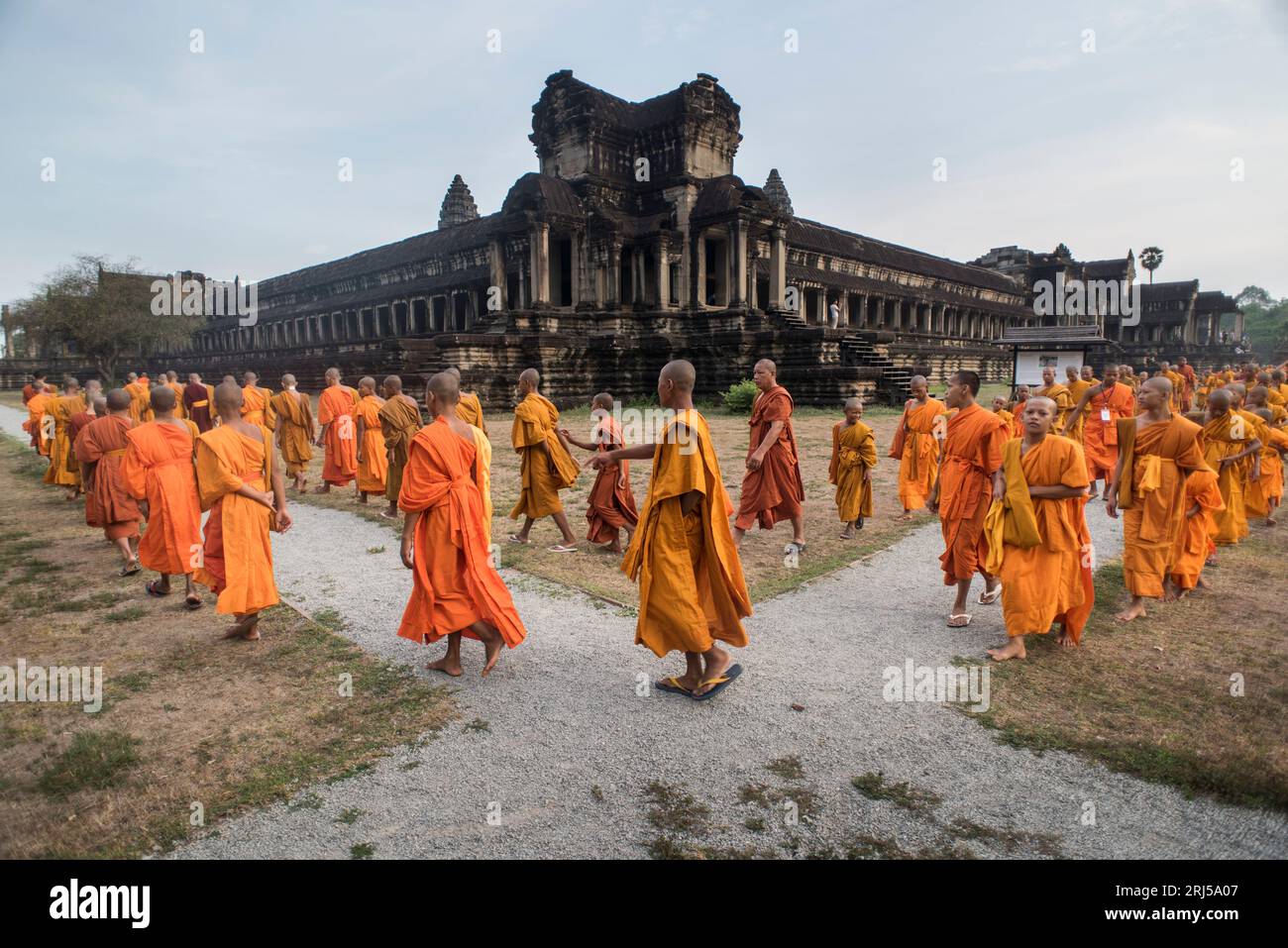 Large group of Buddhist monks during the celebration of the Visak ...