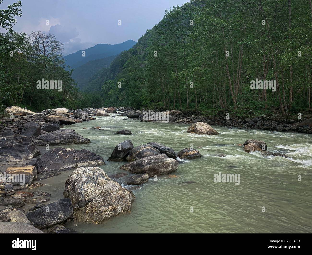 Green streamside hi-res stock photography and images - Alamy