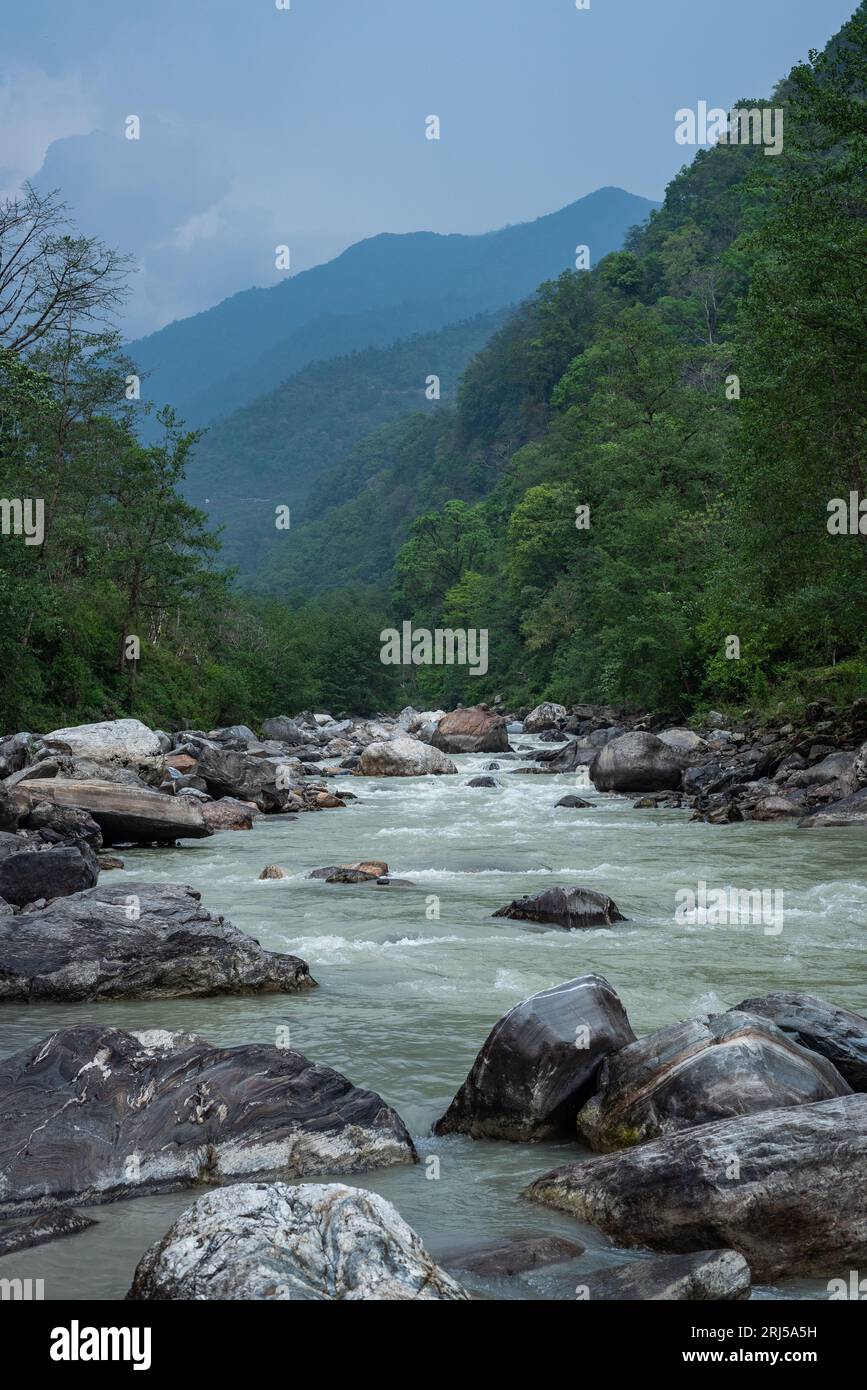 Green streamside hi-res stock photography and images - Alamy