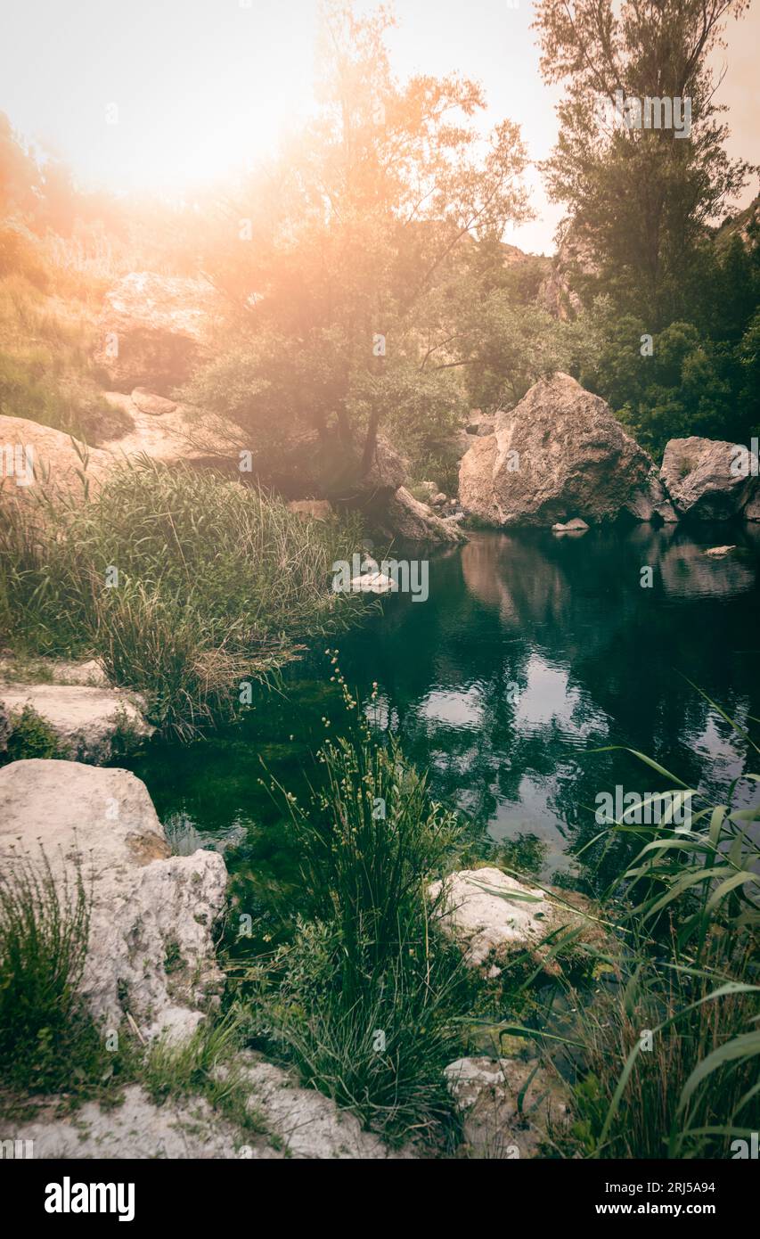 Grass bank lake edge hi-res stock photography and images - Alamy