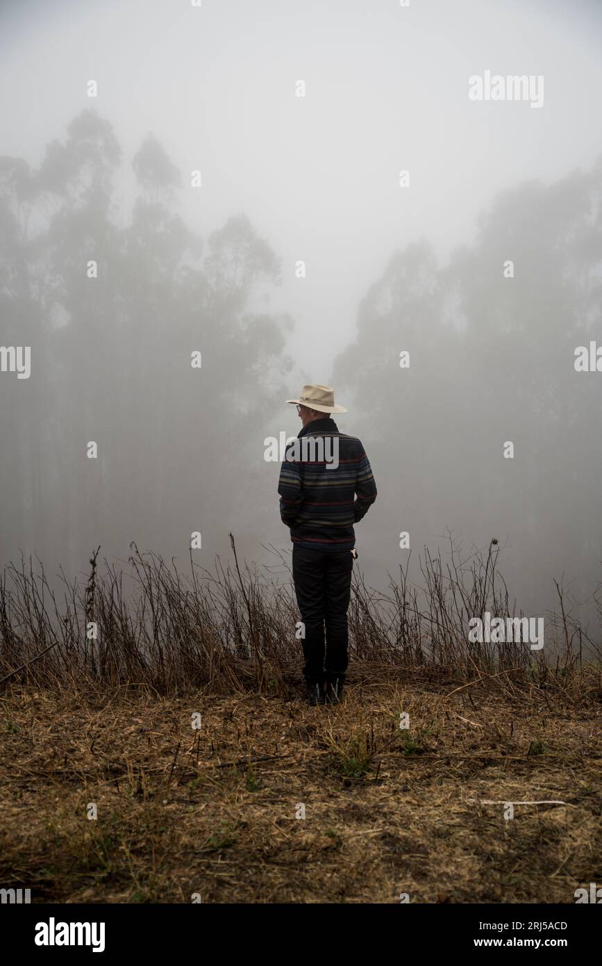 Alone fog one single hi-res stock photography and images - Alamy