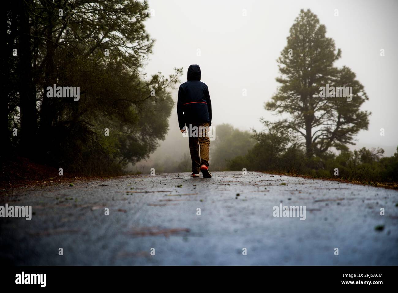 Teen boy walking away hi-res stock photography and images - Alamy