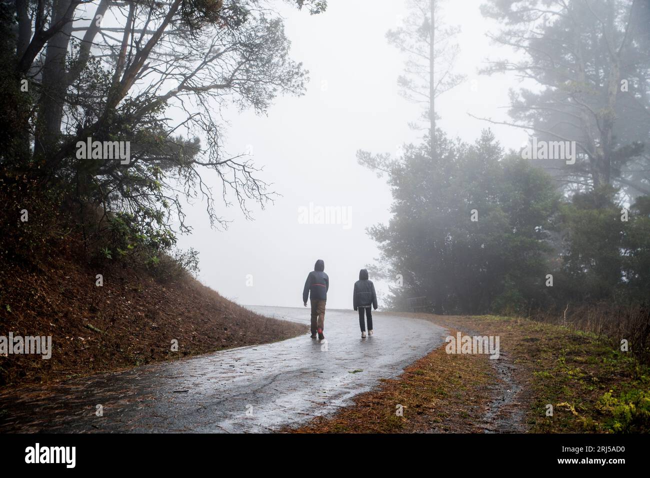 Two kids walking down foggy nature path Stock Photo - Alamy