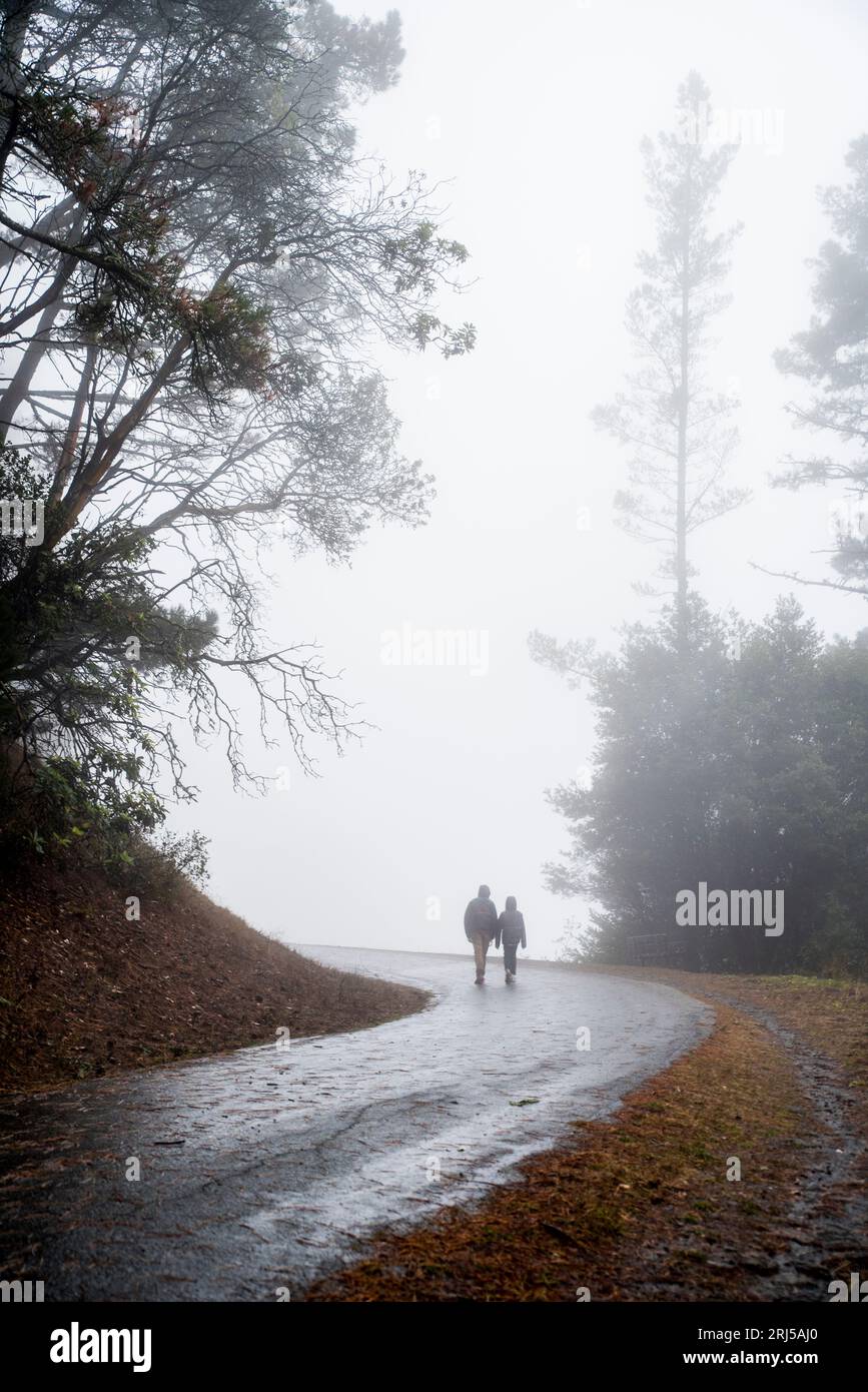 Two figures walking along nature path Stock Photo - Alamy