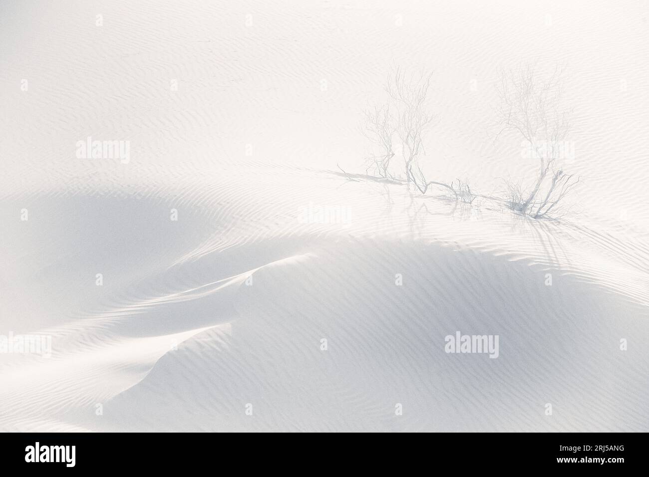 View of Namak Lake, salt lake Stock Photo - Alamy