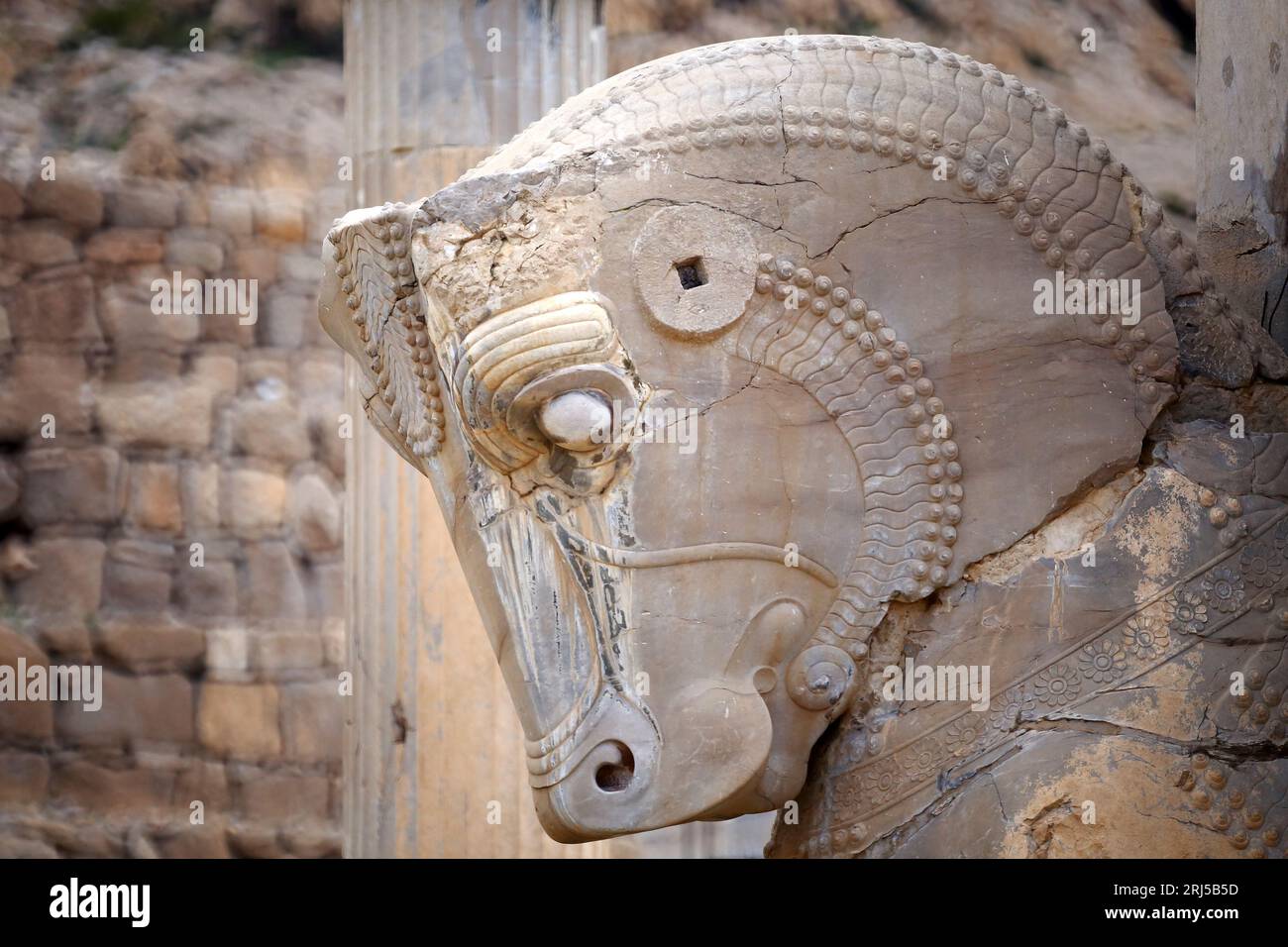 The site of Persepolis, Fars Province, Marvdasht, Iran Stock Photo - Alamy