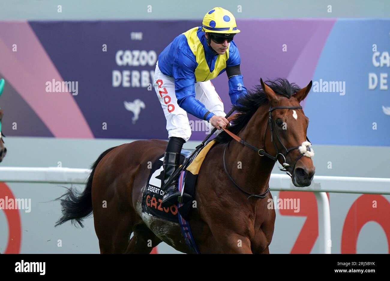 Fetlock injury hi-res stock photography and images - Alamy