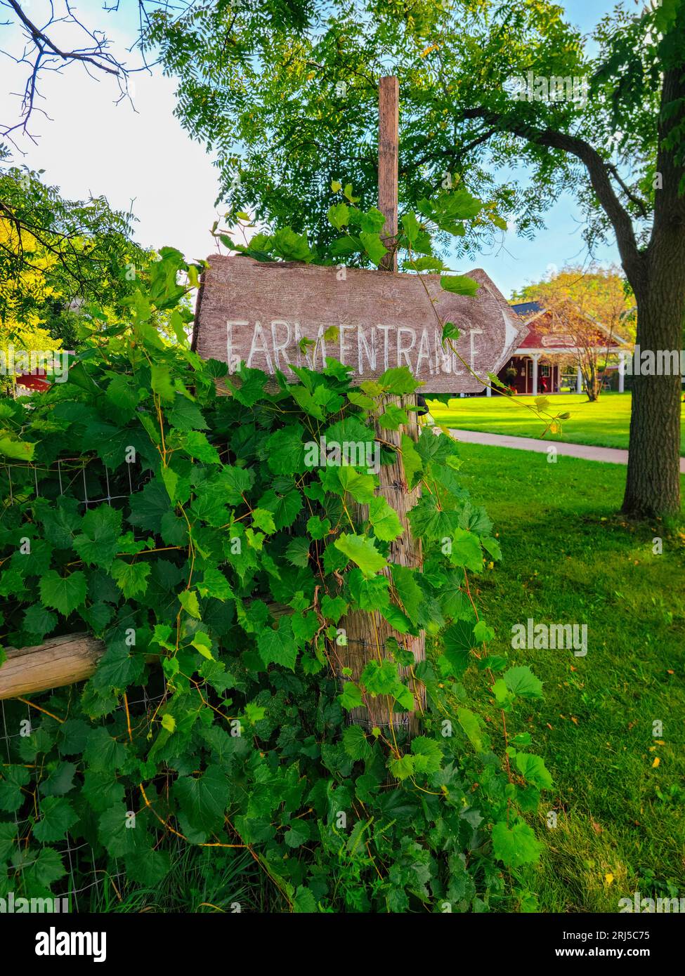 Rustic farm entry sign covered in vines with a background barn Stock ...