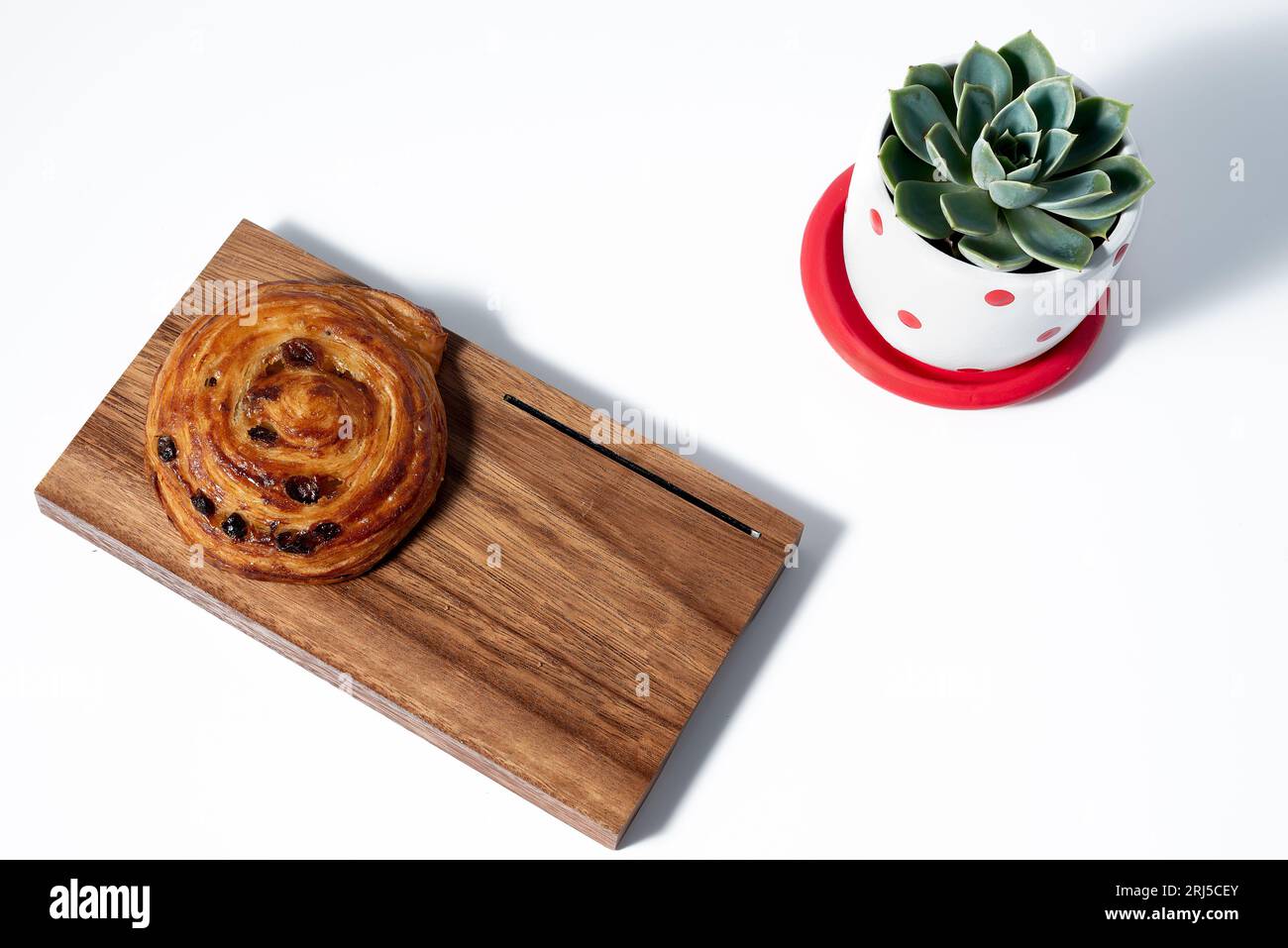 A delicious pain au chocolat on a tray with a potted succulent on a ...