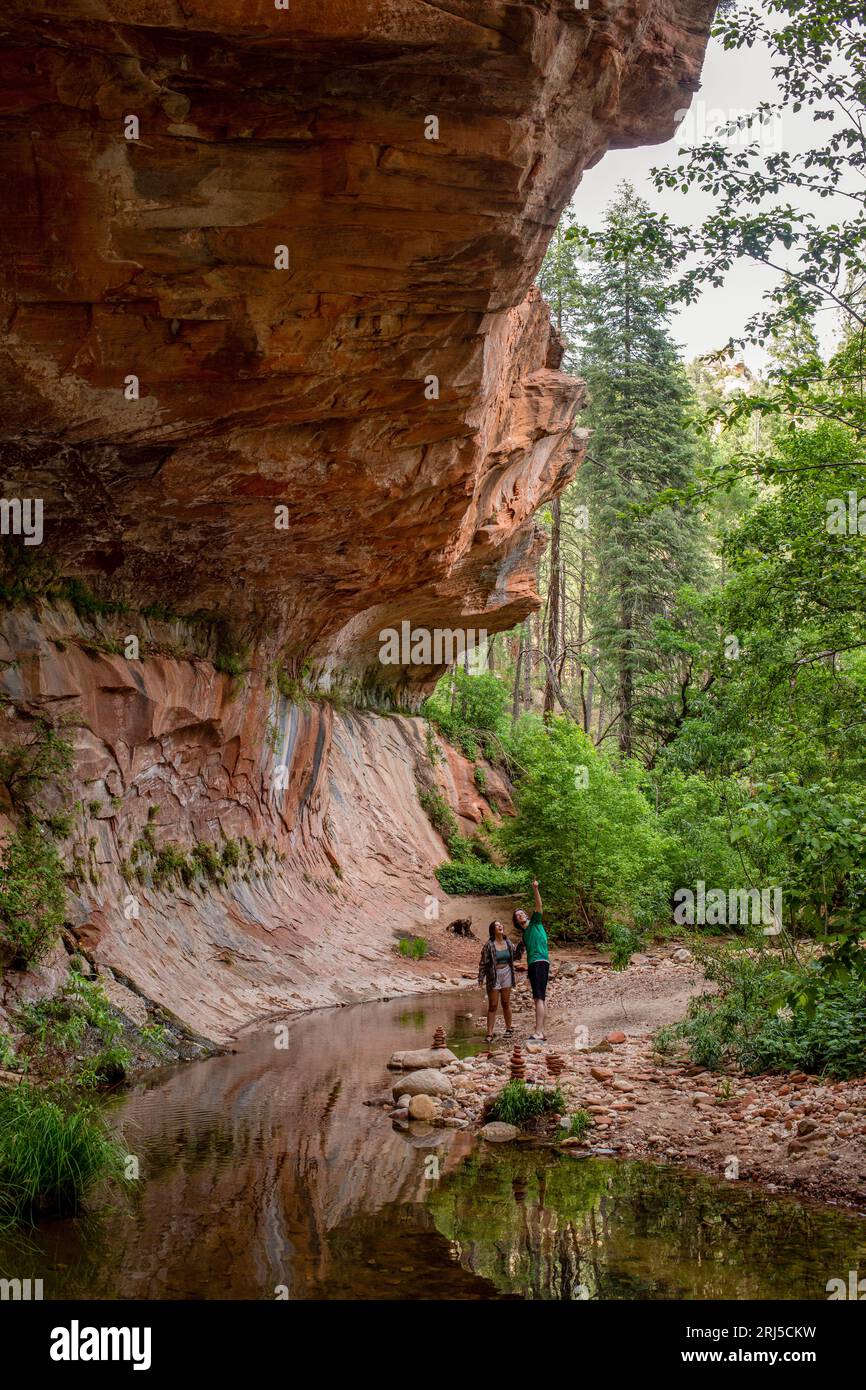 Discovering environment hi-res stock photography and images - Alamy