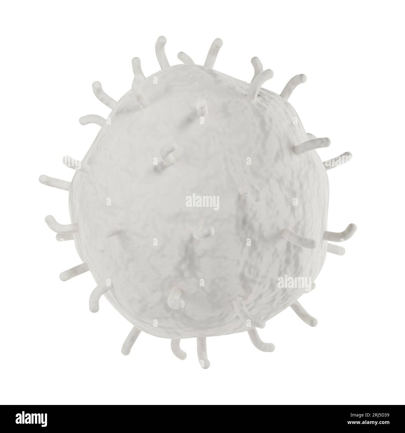 White blood cell 3d realistic icon analysis. Leukocytes medical ...